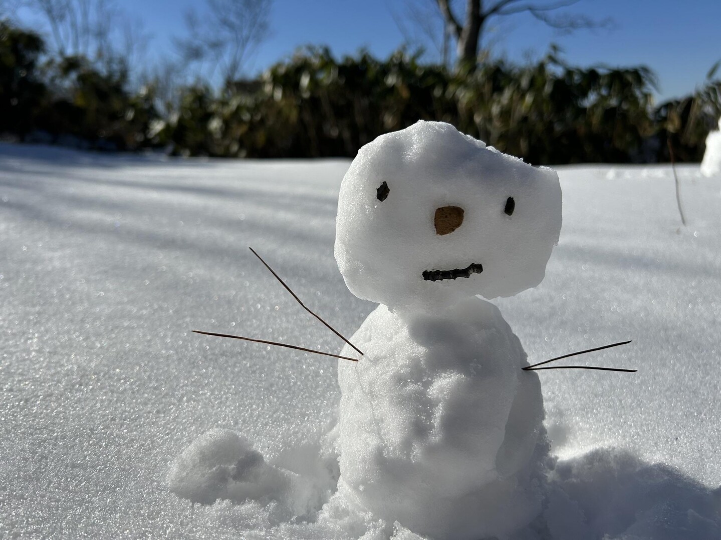 鬼ヶ岳・西鬼ヶ岳 / YUKAさんの鬼ヶ岳の活動データ | YAMAP / ヤマップ