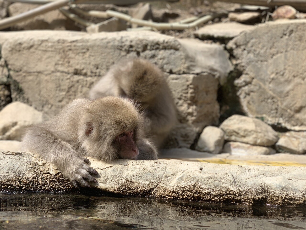 nkakのページ | YAMAP / ヤマップ