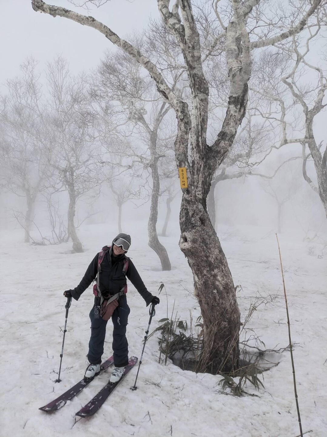 832m峰 / すりーぷさんのニセコアンヌプリ・イワオヌプリ・チセヌプリの活動データ | YAMAP / ヤマップ