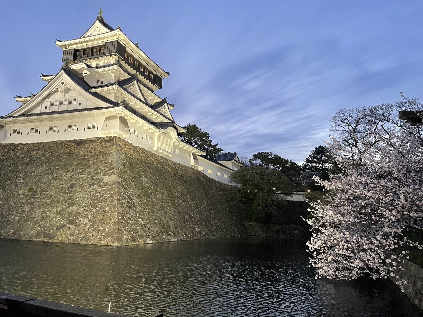 2022.4.1 北九州 小倉城🌸... / IKUYOさんのモーメント | YAMAP / ヤマップ