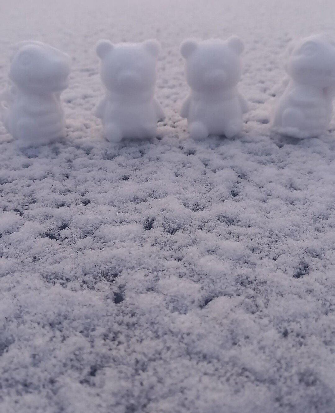 ふわふわな雪で出勤前 庭で雪遊び☃️ ... / ﾔｯﾄｻﾝさんのモーメント | YAMAP / ヤマップ