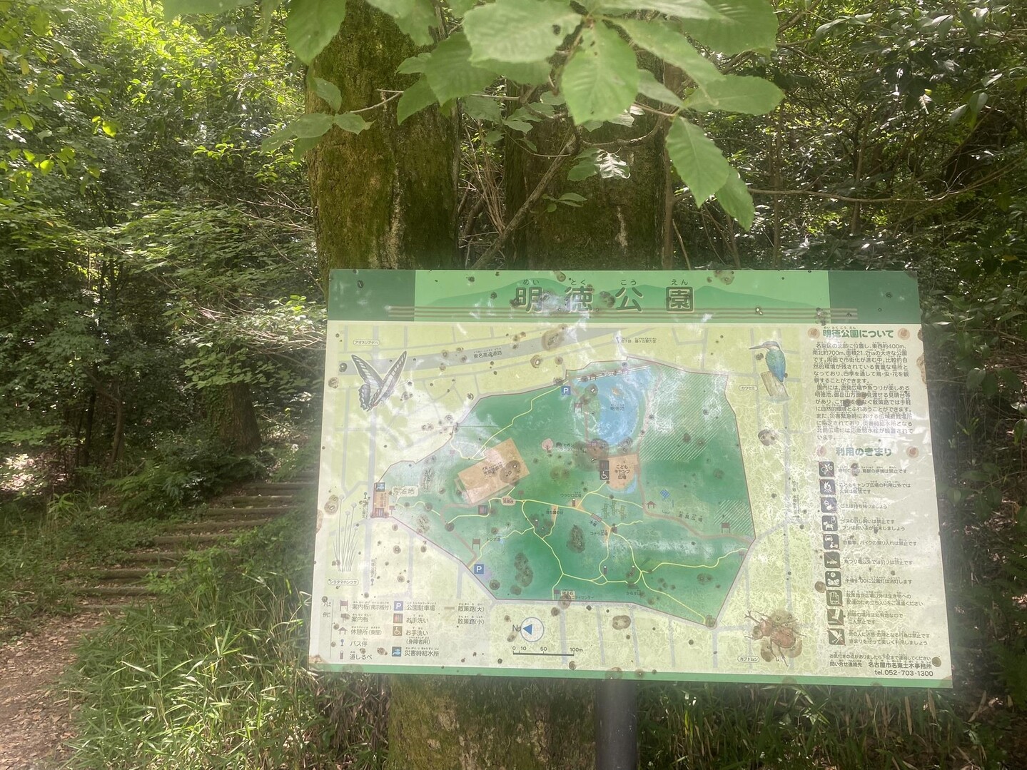 からす山 / TKさんの根岳・親鸞山の活動データ | YAMAP / ヤマップ