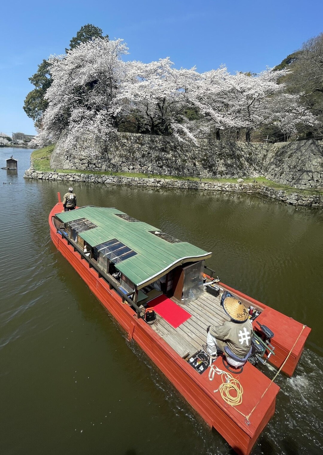 初めて訪れたサクラの彦根城。 美しく荘厳... / 68_327さんのモーメント | YAMAP / ヤマップ