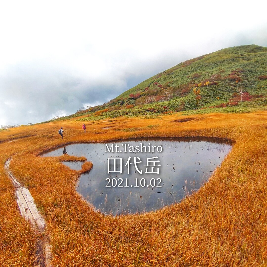 草紅葉眩しいアラスカへ上陸🍁田代岳 / SEJ1MOさんの田代岳の活動データ | YAMAP / ヤマップ
