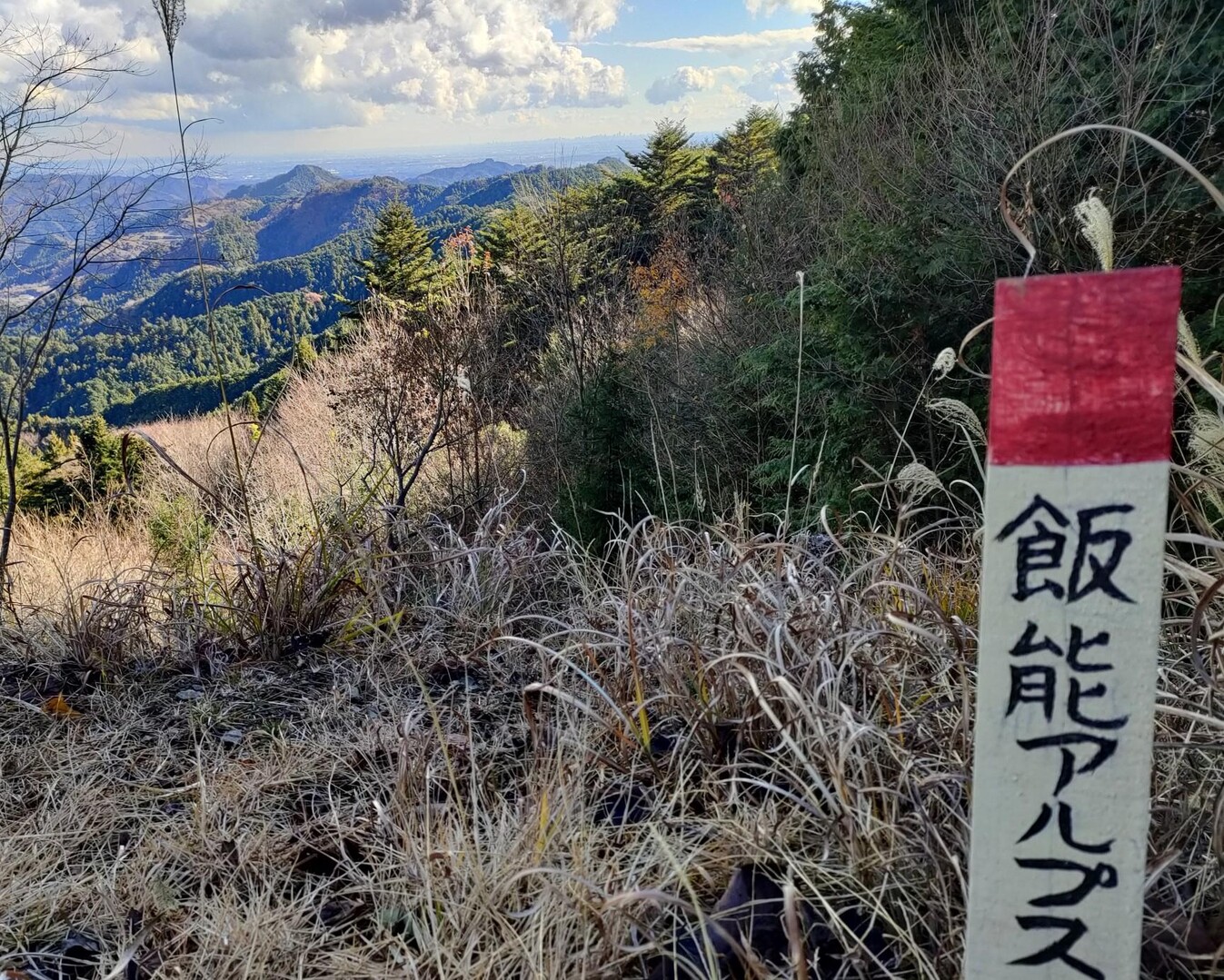 飯能アルプス①(伊豆ヶ岳～天覚山) / Yj さんのヤマノススメ巡礼マップ（天覚山・大高山・子の権現）の活動データ | YAMAP / ヤマップ