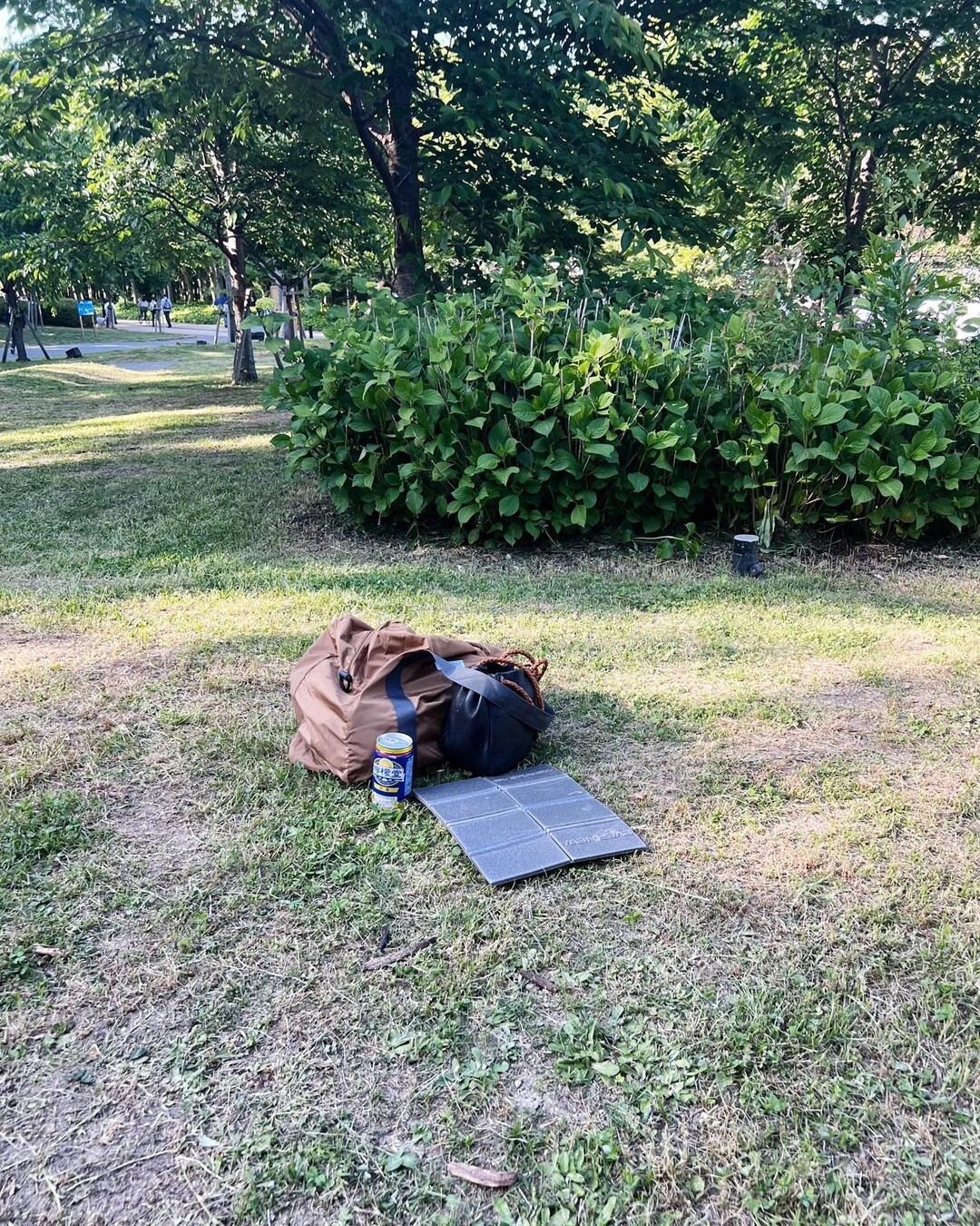 あ〜🪭 知らぬが仏とはよく言ったもので... / jujuさんのモーメント | YAMAP / ヤマップ