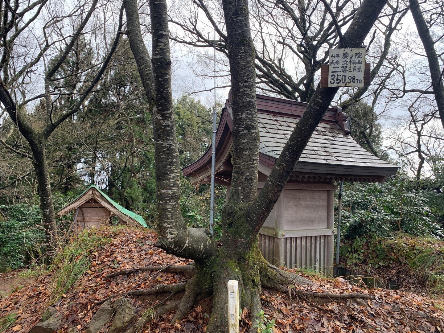 MJで山トレ（ソロ） / JOG太郎さんの文殊山の活動データ | YAMAP / ヤマップ