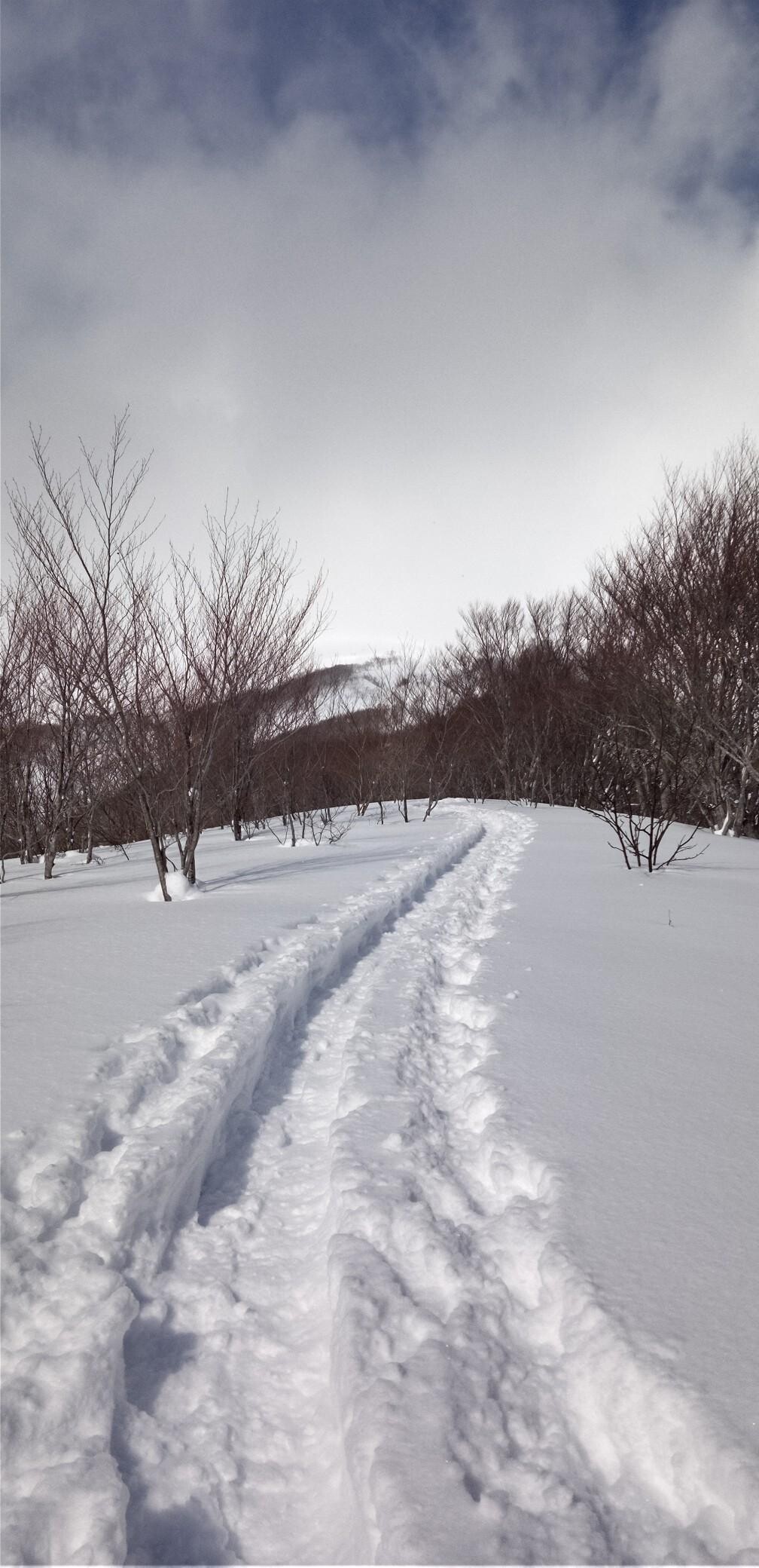 岩木山鳥海山-2023-02-05 / katuさんの青森市の活動データ | YAMAP / ヤマップ