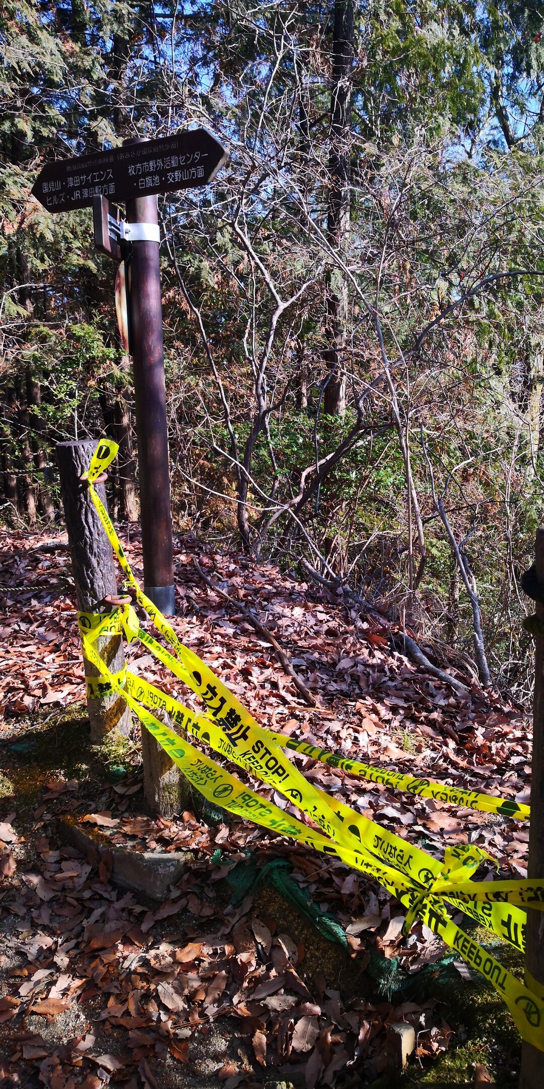 たけじゅんさんの投稿したフィールドメモ | YAMAP / ヤマップ