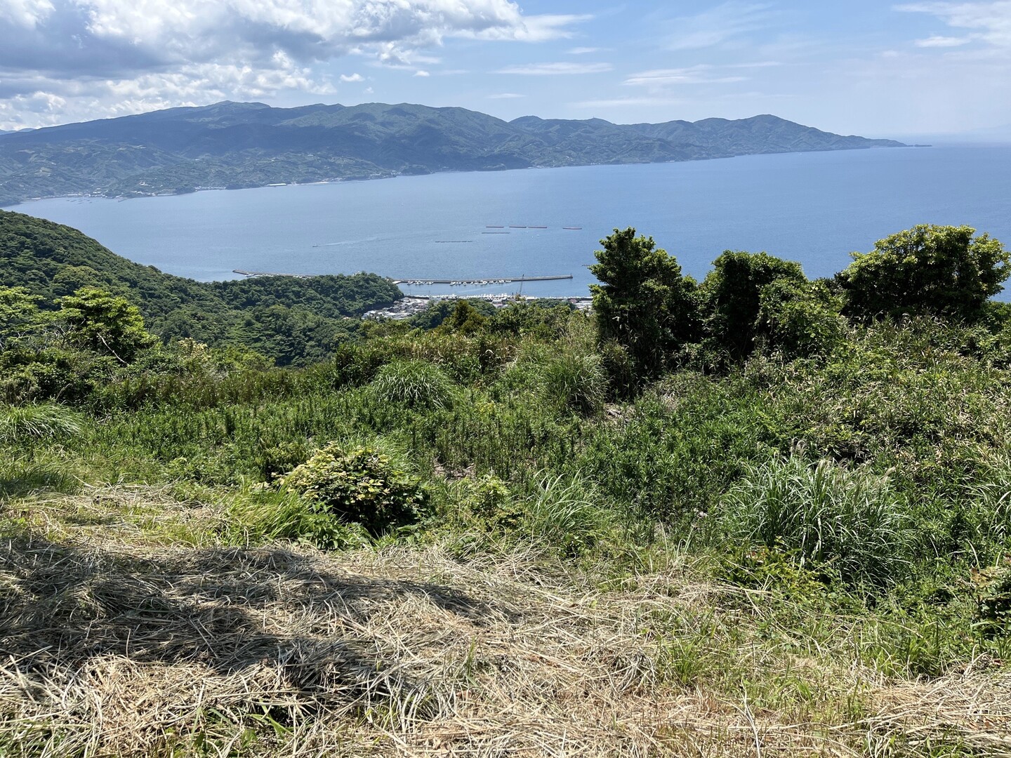 沼津アルプス(香貫山〜大平山) / Y-kobaさんの沼津アルプス・鷲頭山・香貫山の活動データ | YAMAP / ヤマップ