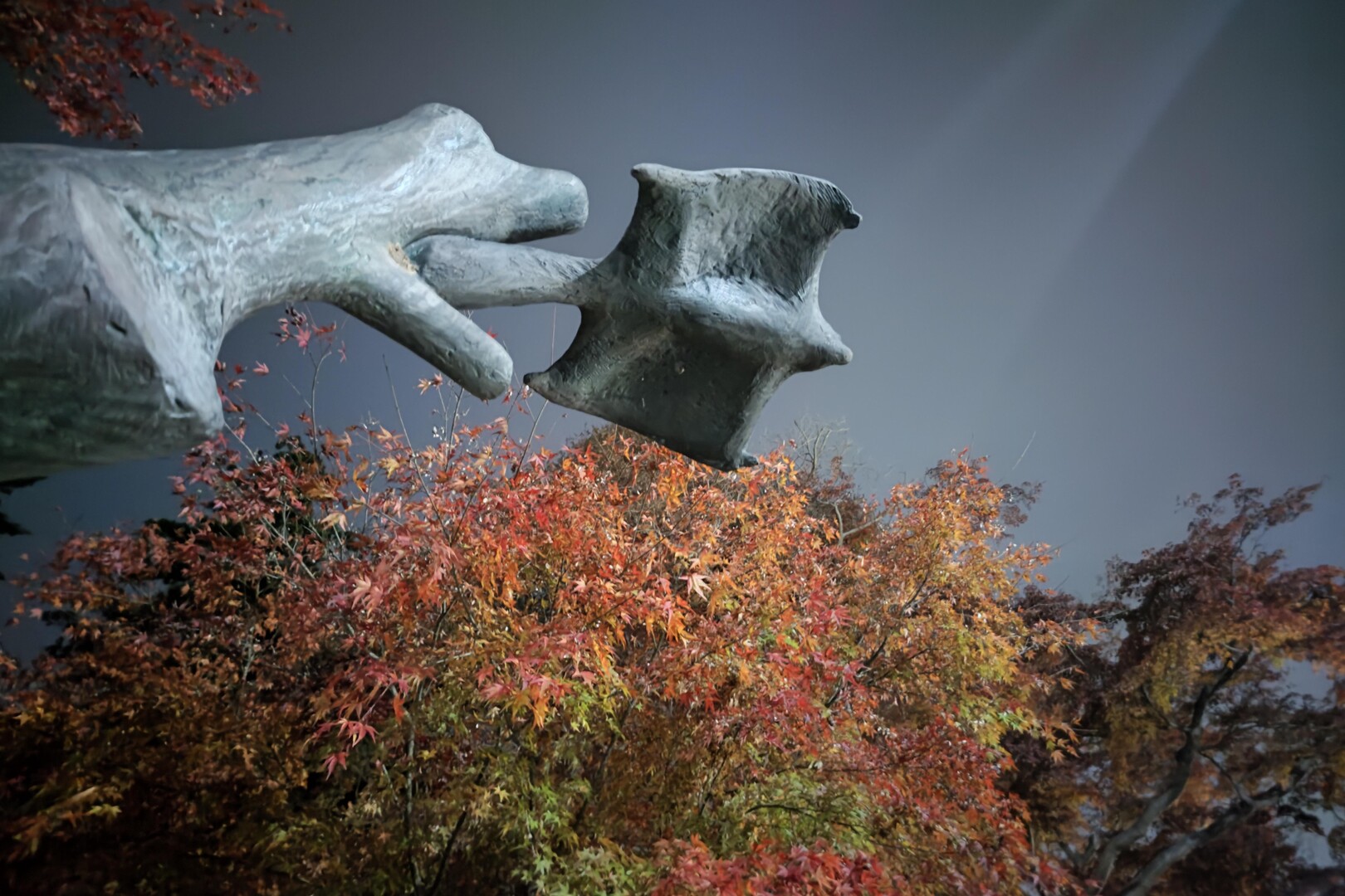 4連続高尾山・その3 / wao→わおさんの高尾山・陣馬山・景信山の活動データ | YAMAP / ヤマップ