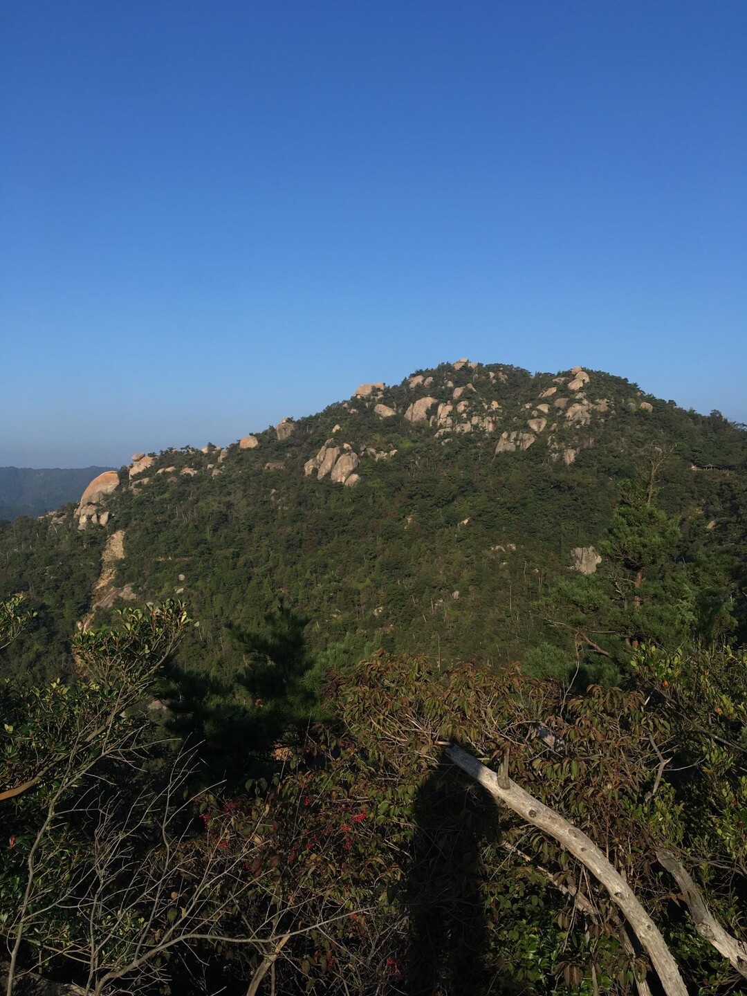 朝活☀️火山・倉橋後火山 / totoさんの火山（倉橋火山）・岳浦山の活動データ | YAMAP / ヤマップ