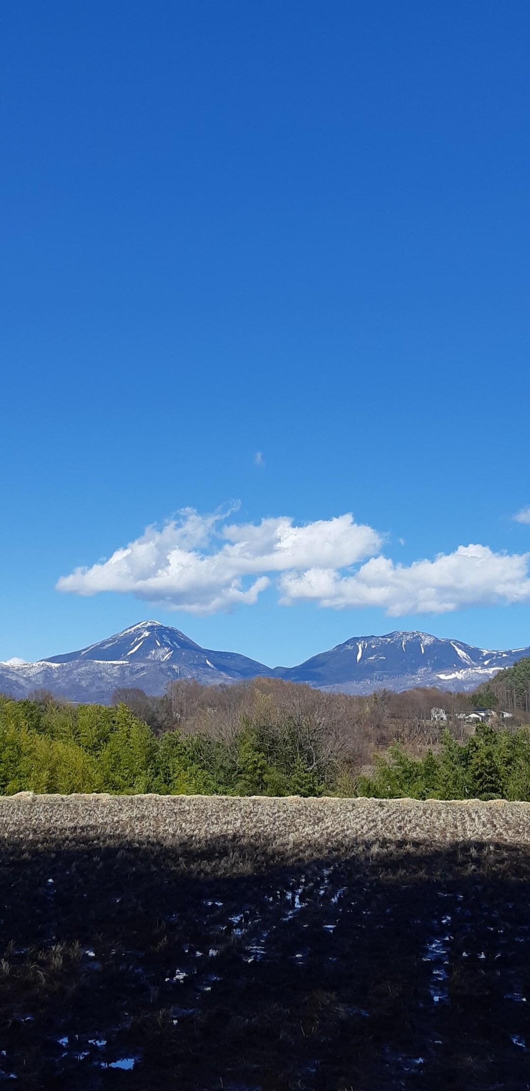 昨夜来の雨も 今日のお昼頃には止んで 八... / Heroさんのモーメント | YAMAP / ヤマップ