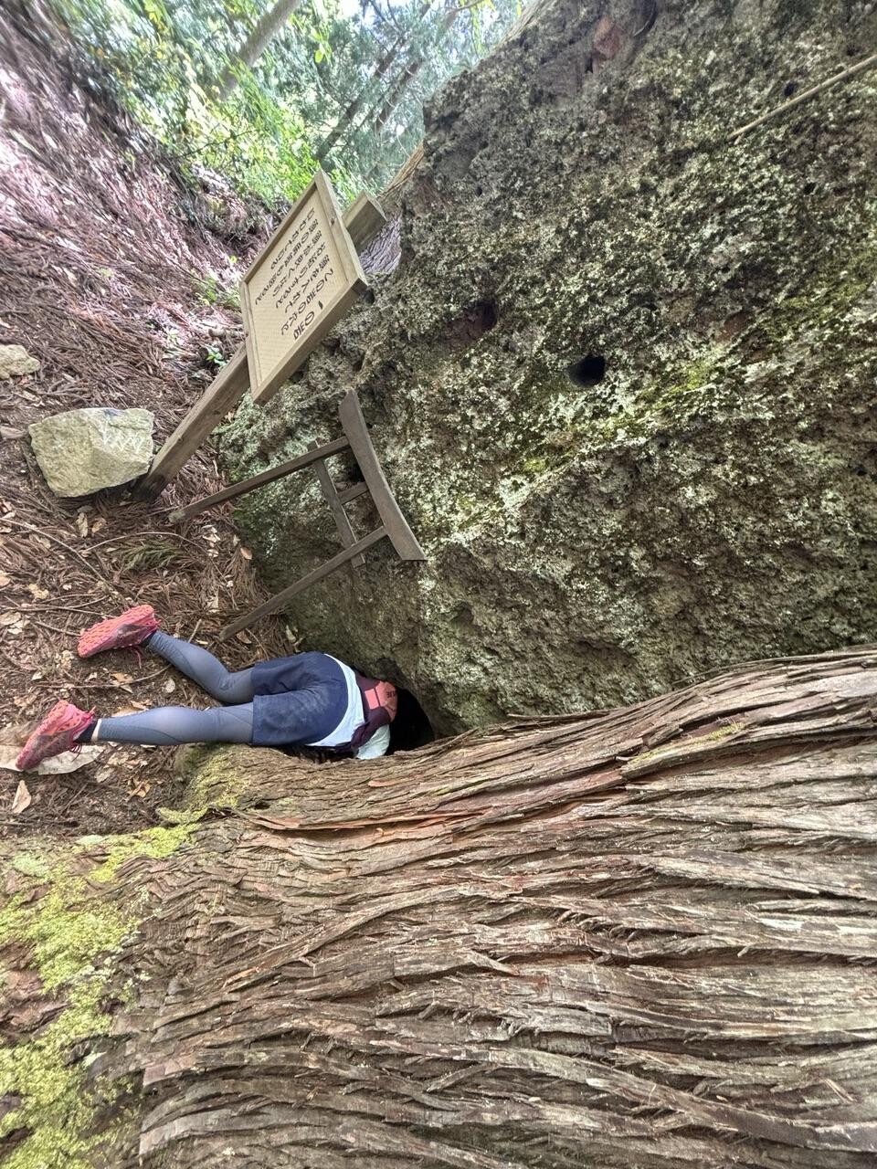 maruしゃんのページ | YAMAP / ヤマップ