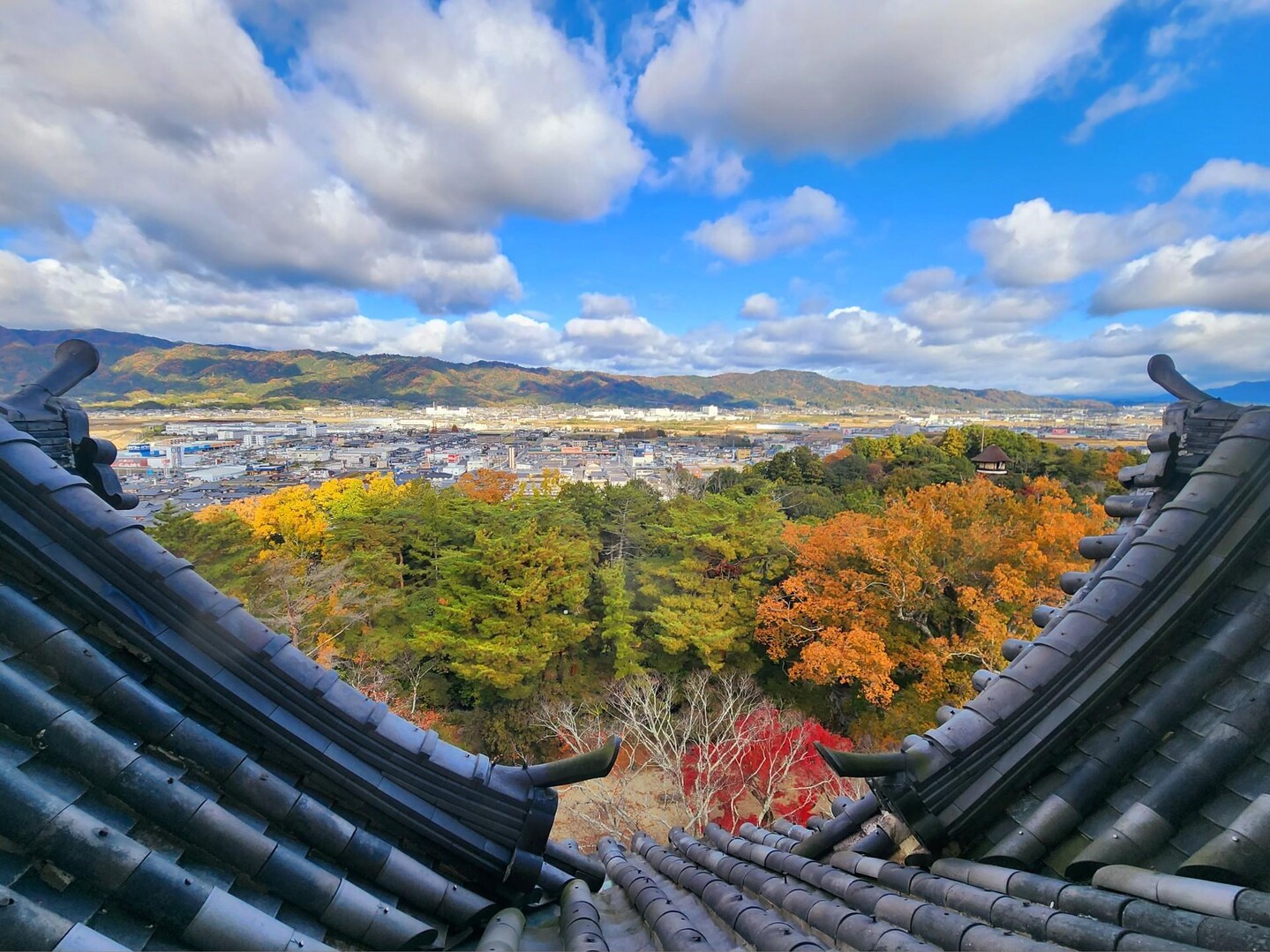 伊賀上野城 / TOMMY☆さんのウォーキングの活動データ | YAMAP / ヤマップ