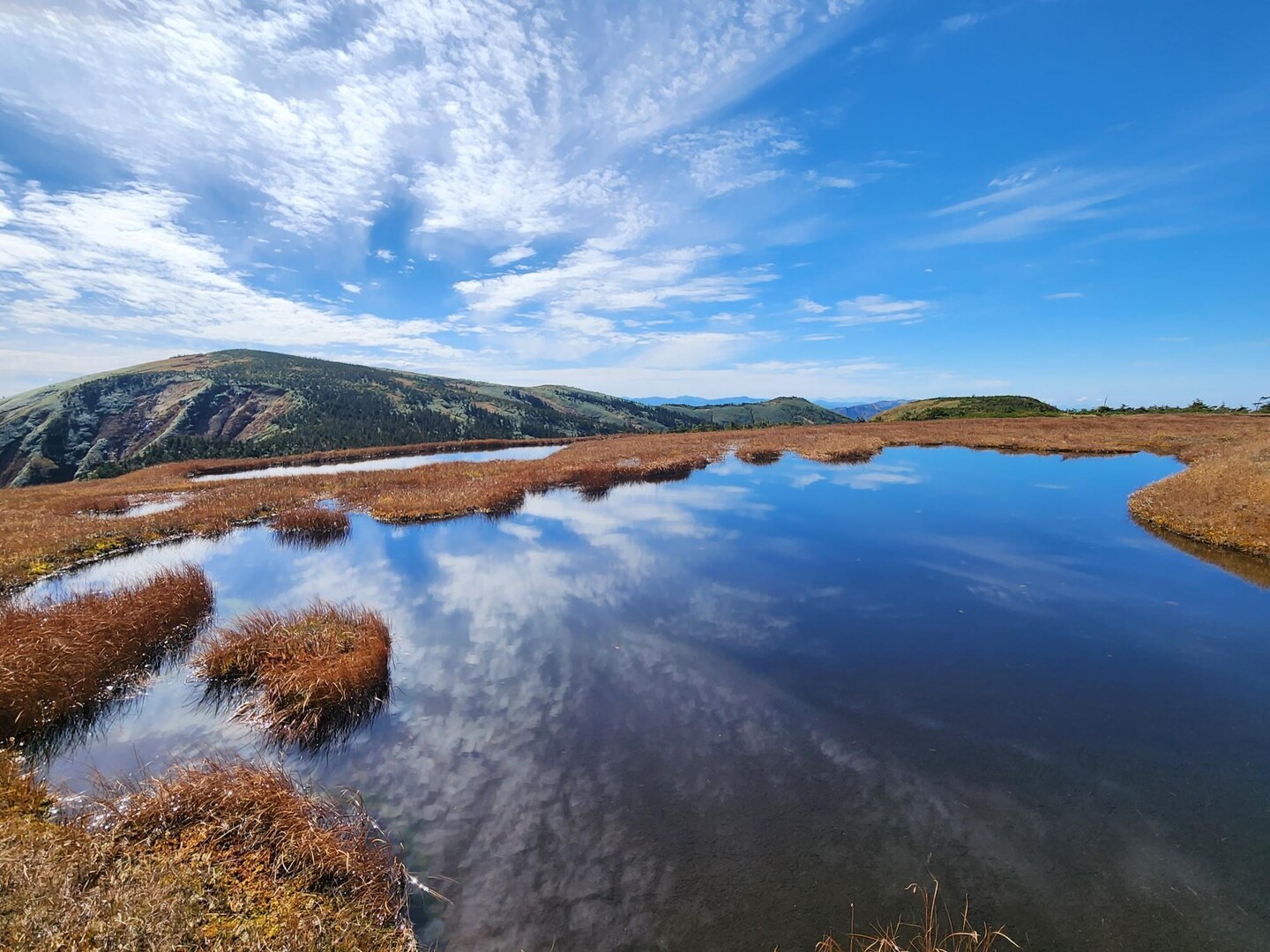 絶景の紅葉ロード🍁平ヶ岳 / SUGAMIさんの平ヶ岳・台倉山・池ノ岳の活動データ | YAMAP / ヤマップ