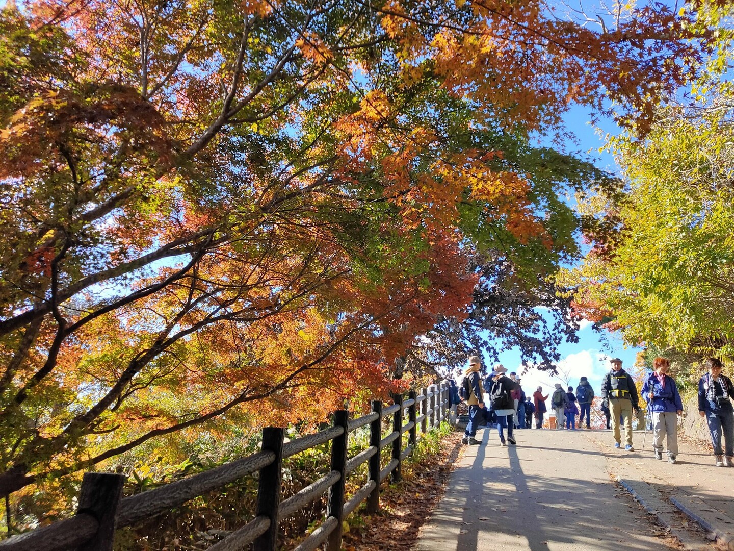 稲荷山・高尾山・神変山 / i.shunさんの高尾山・陣馬山・景信山の活動データ | YAMAP / ヤマップ
