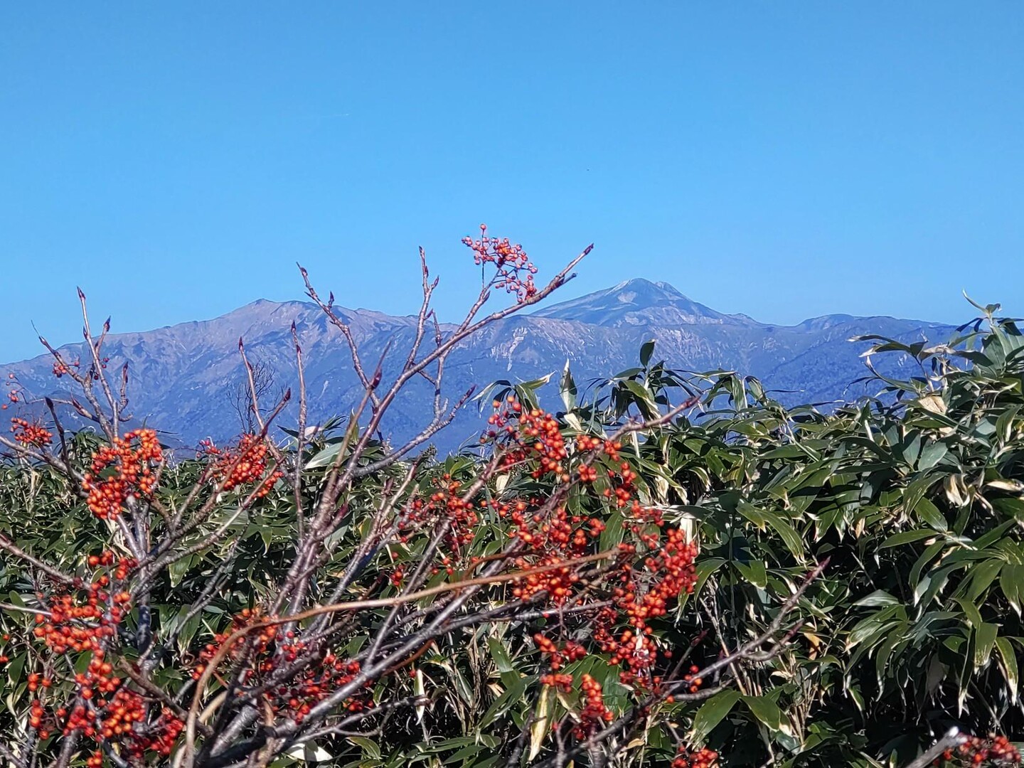 大日ヶ岳 / hsysさんの大日ヶ岳・毘沙門岳の活動データ | YAMAP / ヤマップ