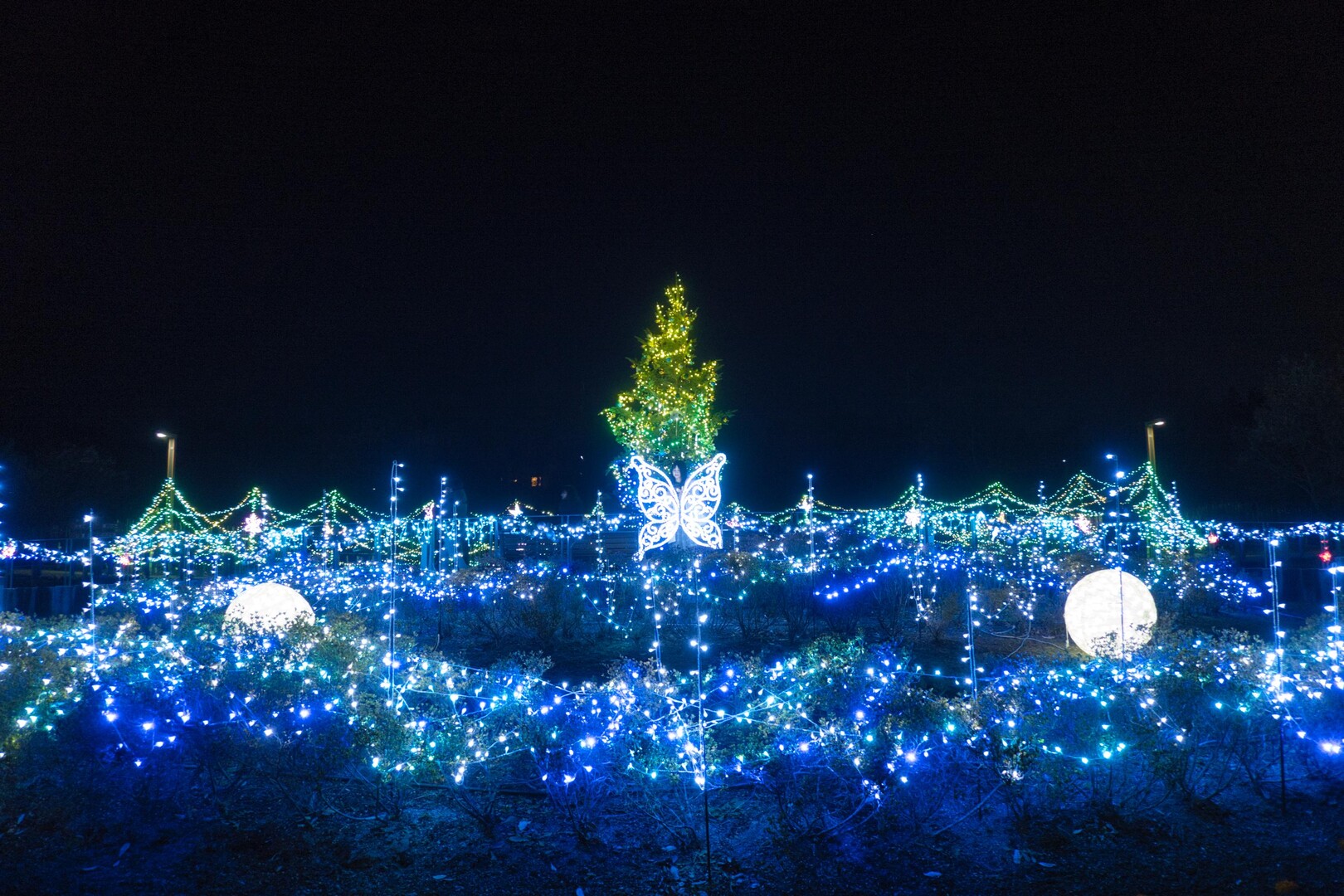 12/21-25、馬見丘陵公園できらめき... / persさんのモーメント | YAMAP / ヤマップ