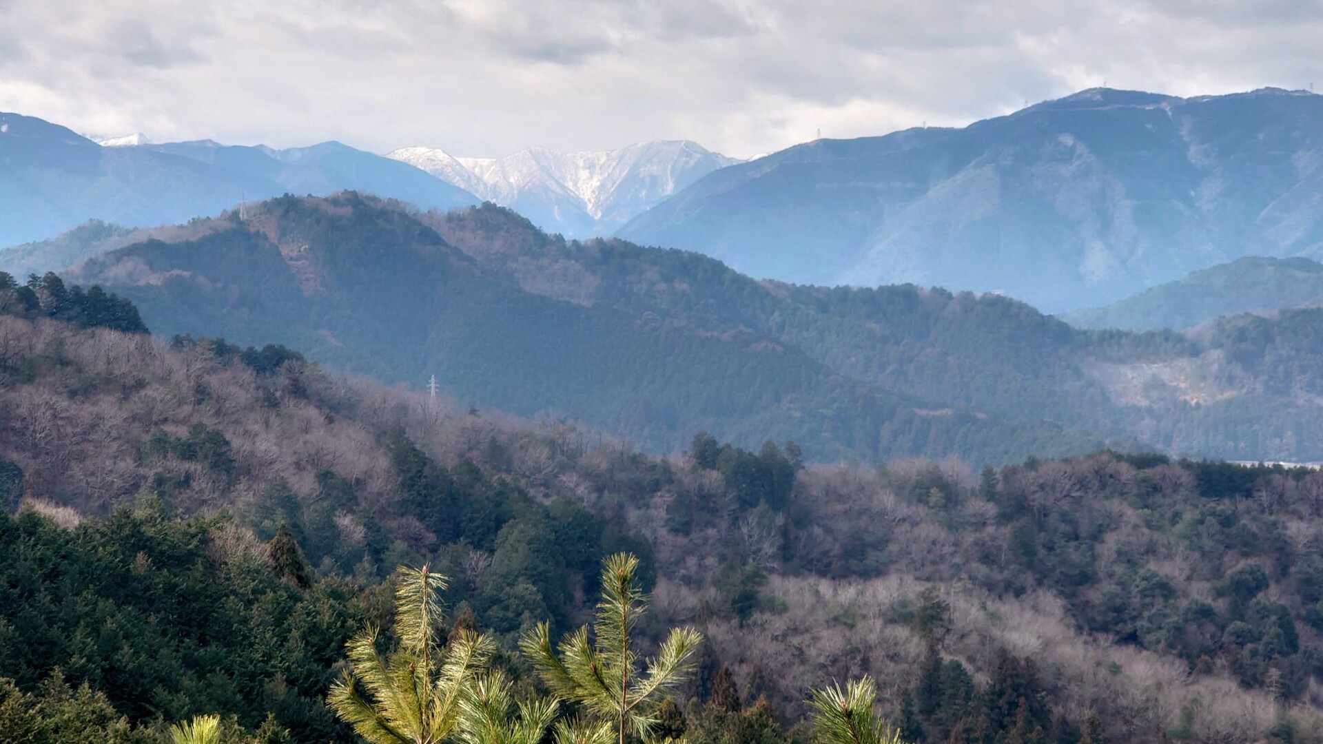 野村山・大谷山・滝谷山 / yanagingさんの大谷山（岐阜県）・滝谷山・雁又山の活動データ | YAMAP / ヤマップ
