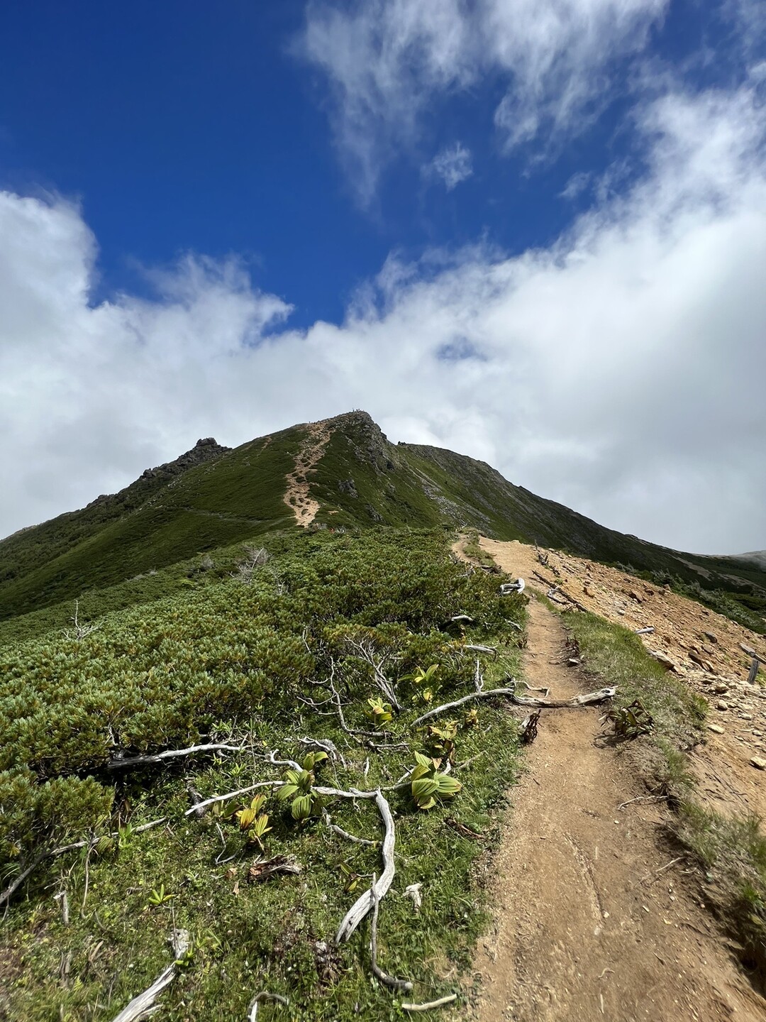 バッジ購入済み‼️西天狗岳・東天狗岳へ / tontonさんの霧ヶ峰・車山・大笹峰の活動データ | YAMAP / ヤマップ