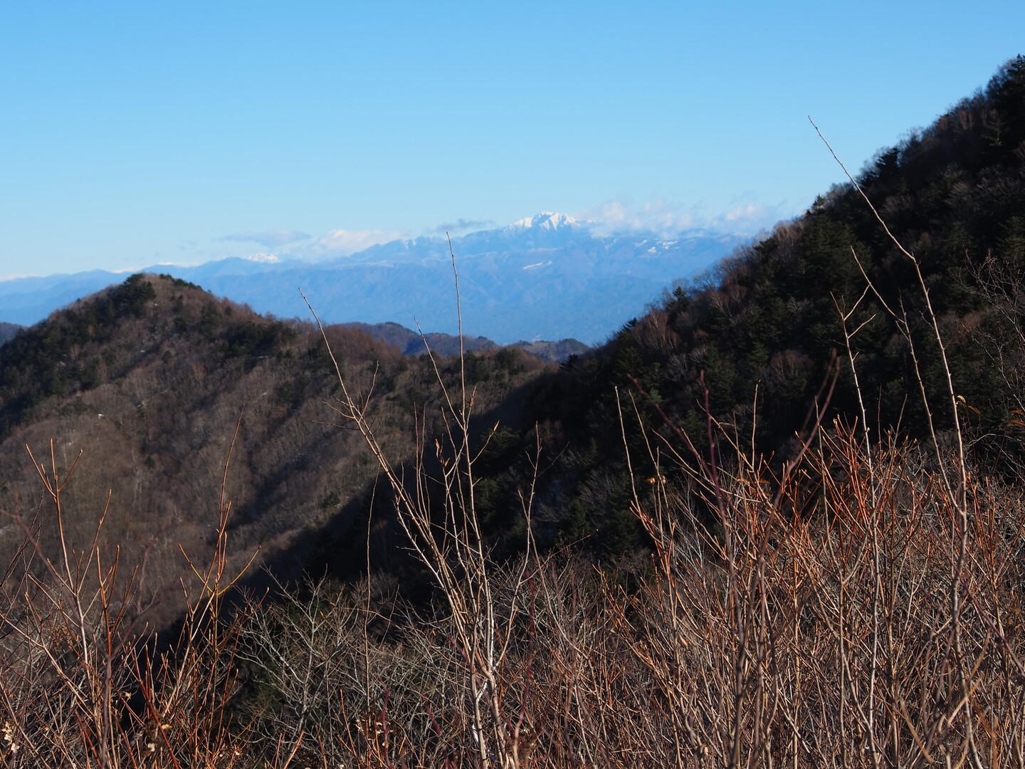 蛇峠山 / ICHI JUNさんの蛇峠山の活動データ | YAMAP / ヤマップ