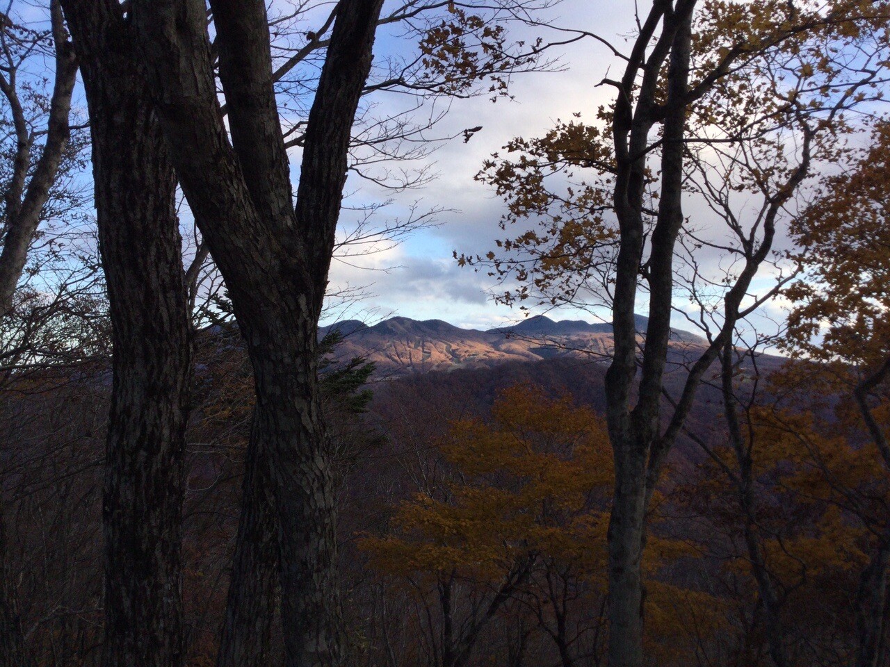 塩沢山 / Nboxさんの塩沢山の活動データ | YAMAP / ヤマップ