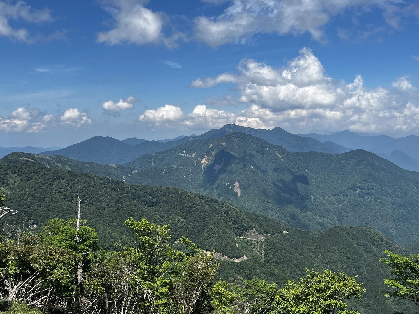 1ヶ月ぶりの登山は天神丸 / MYさんの高城山・天神丸の活動データ | YAMAP / ヤマップ