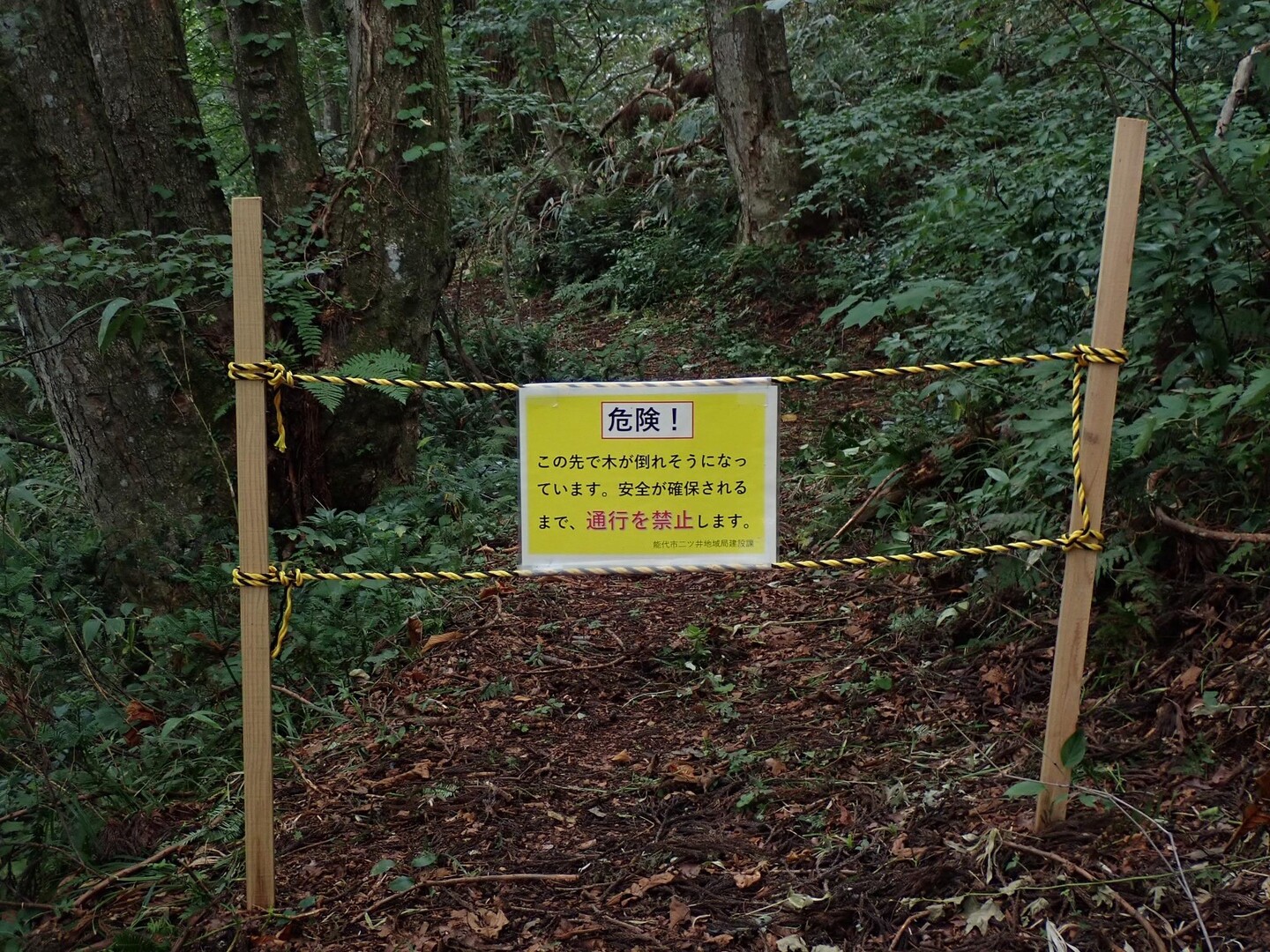 slothbearさんの投稿したフィールドメモ | YAMAP / ヤマップ