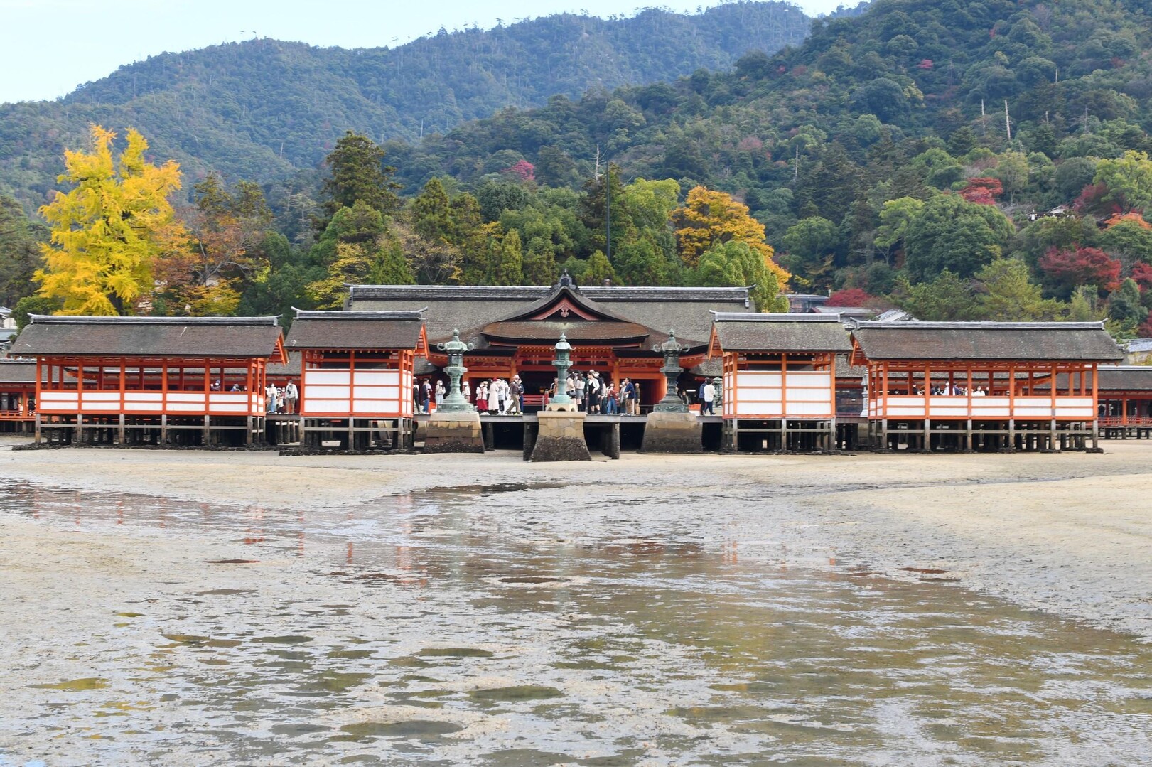要害山・弥山 / rabbit さんの宮島（厳島）・弥山の活動日記 | YAMAP / ヤマップ