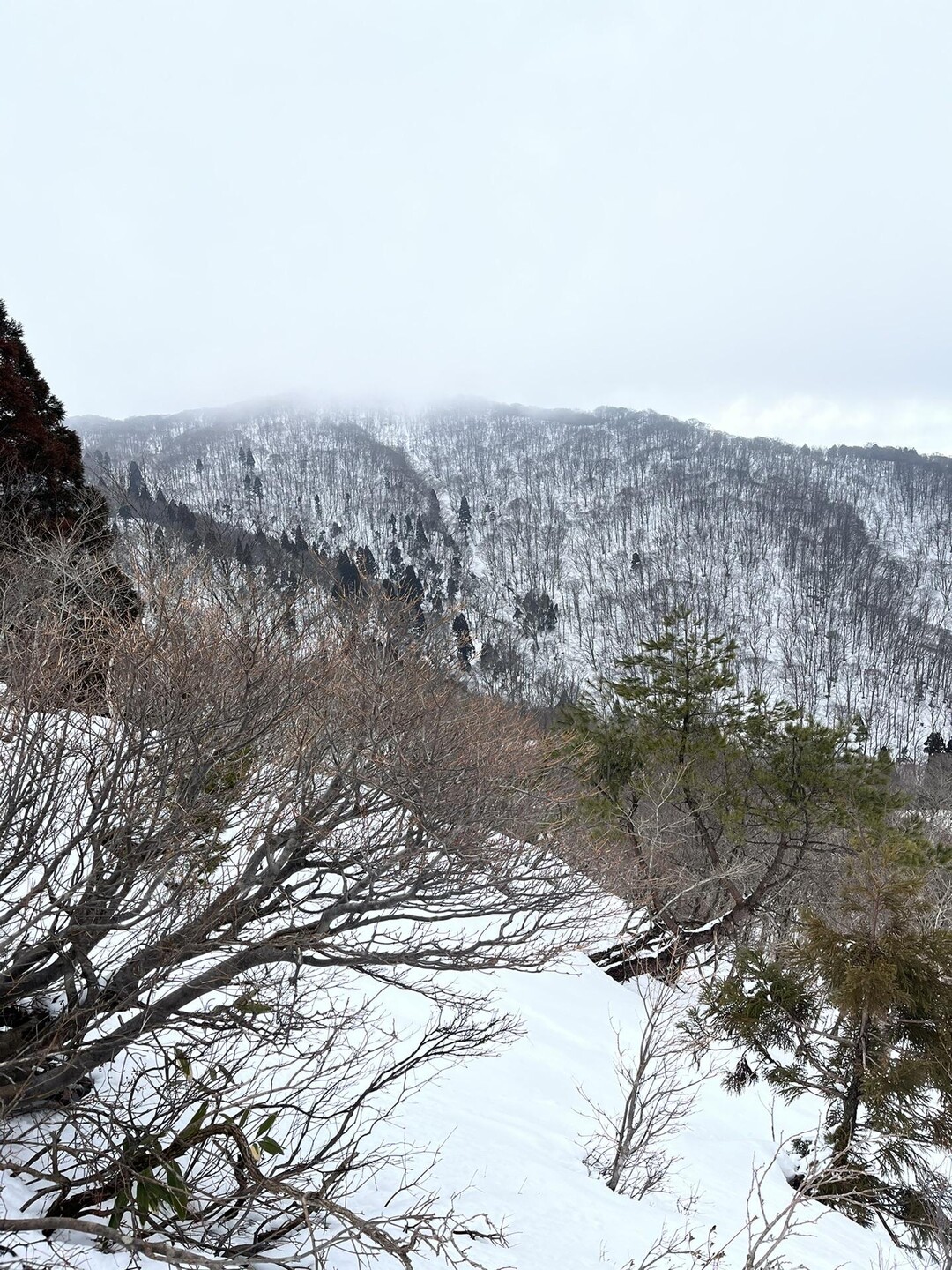 Try again！☞ 武奈ヶ岳 / keiさんの比良山地・武奈ヶ岳・釈迦岳の活動データ | YAMAP / ヤマップ