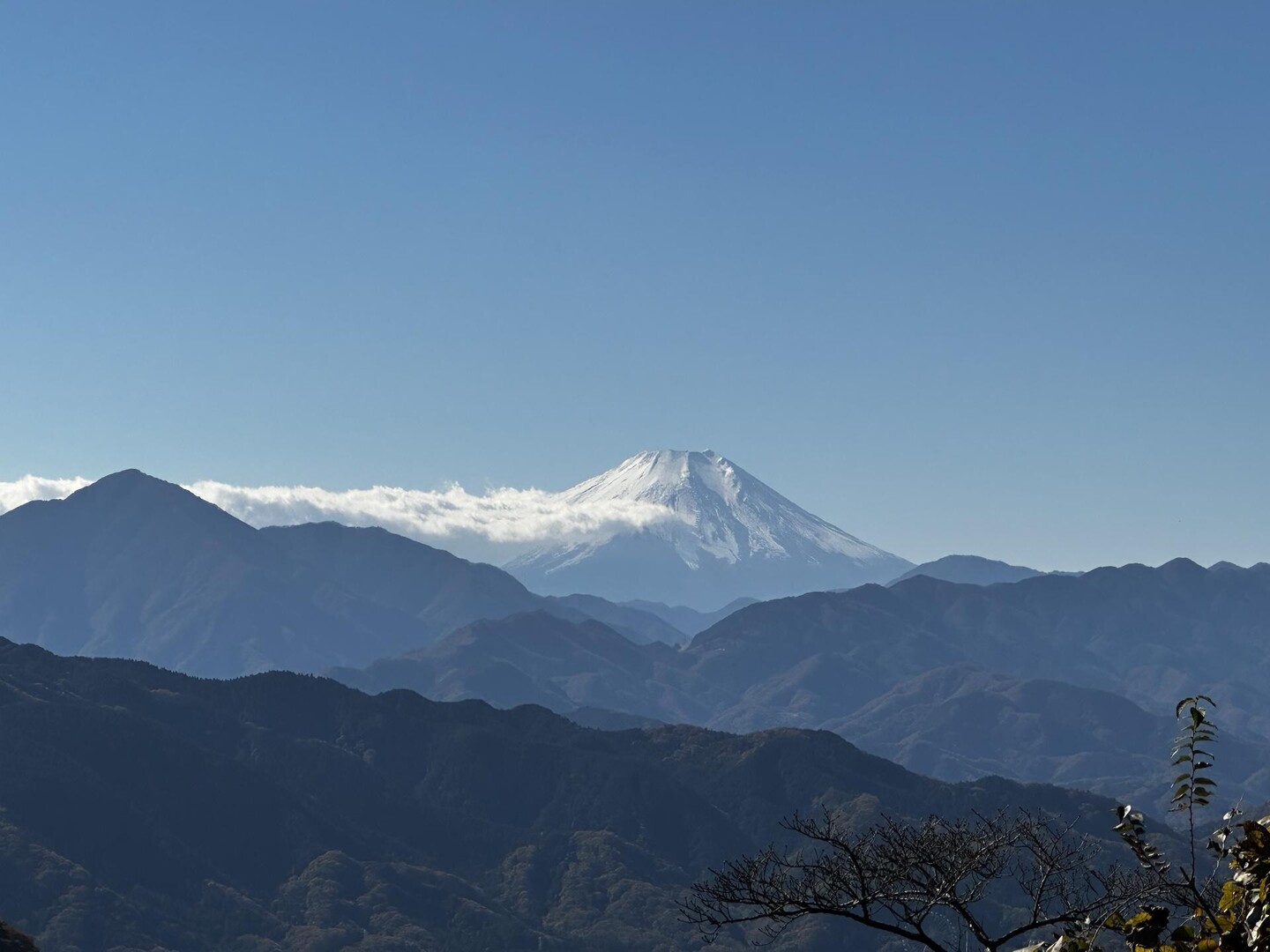 高尾山・神変山 / eddyさんの高尾山・陣馬山・景信山の活動データ | YAMAP / ヤマップ