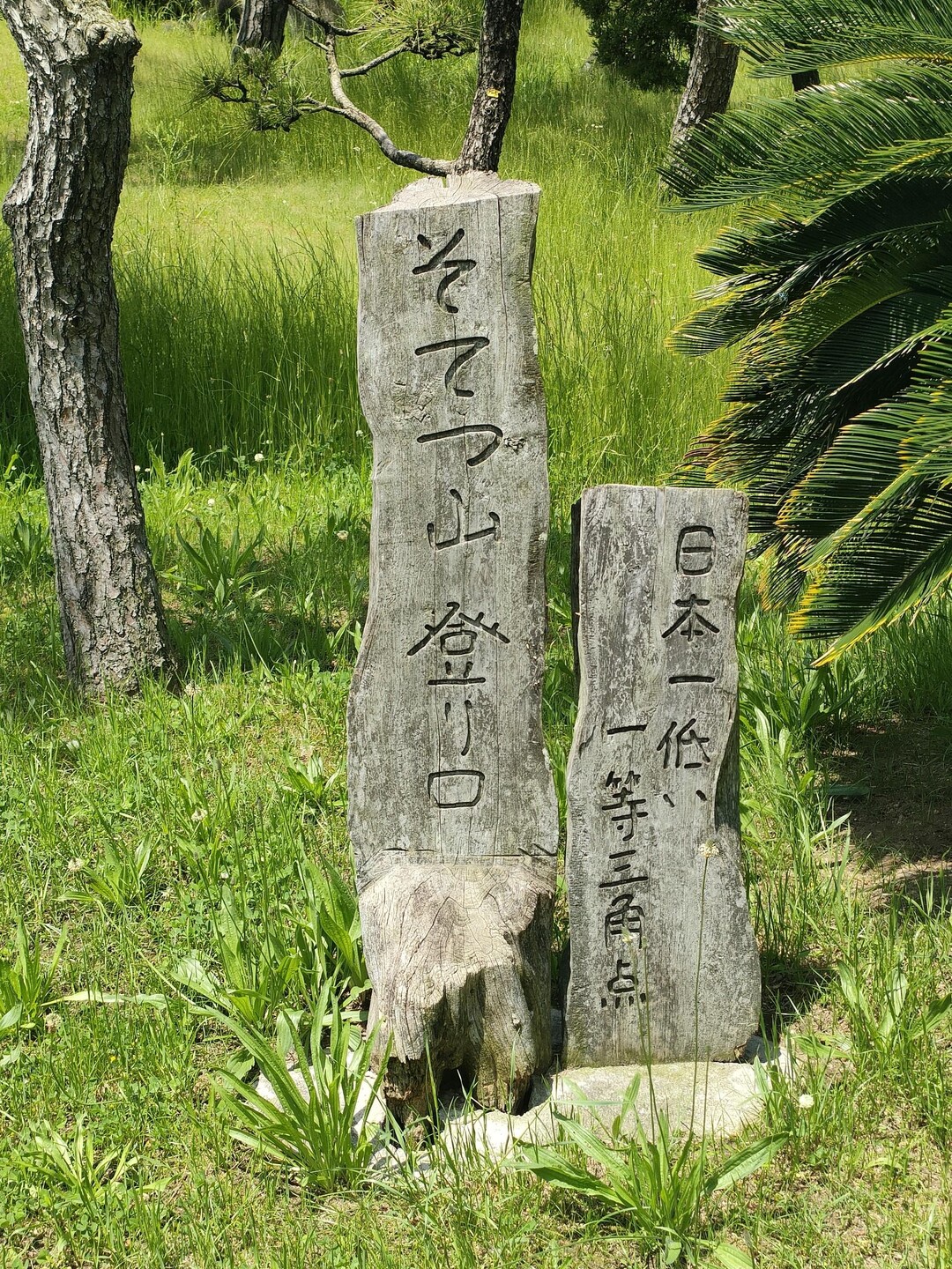 蘇鉄山 / ATSUさんの蘇鉄山の活動データ | YAMAP / ヤマップ