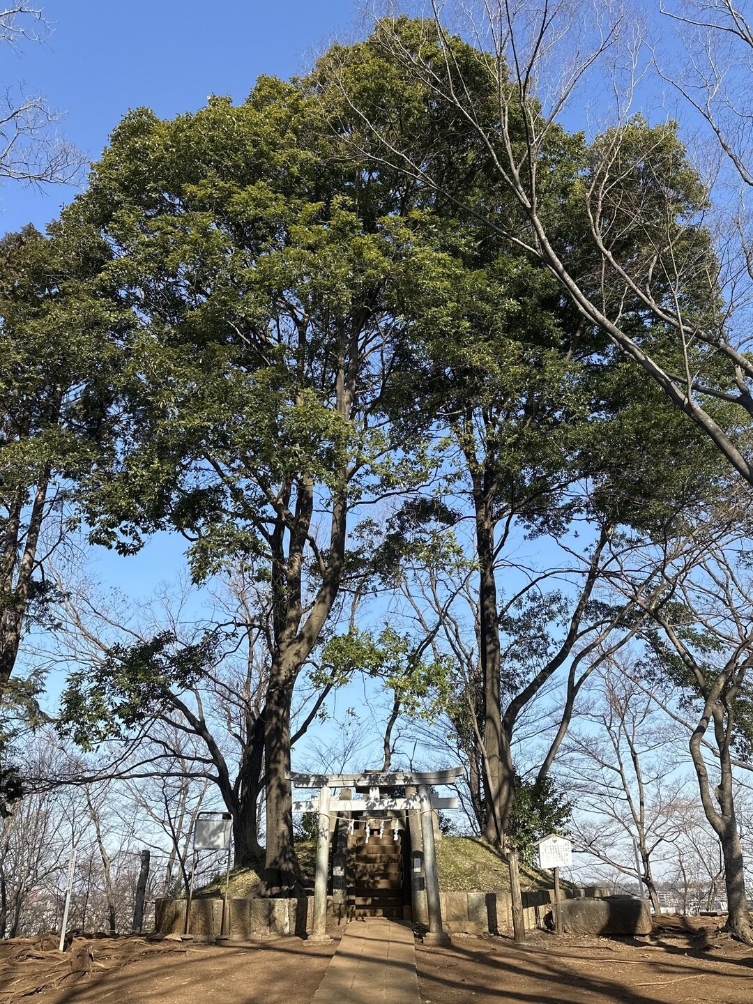 浅間山まで・LSDにて / ルカさんの府中市（東京都）の活動データ | YAMAP / ヤマップ