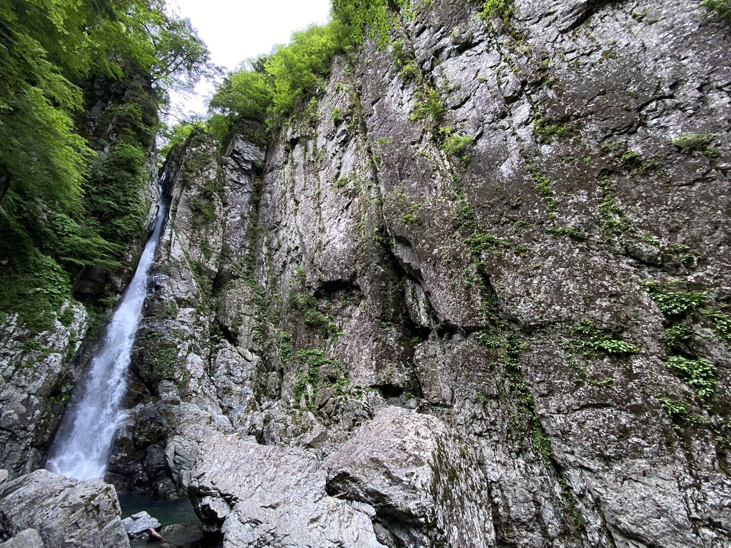 双門の滝壷 / digi sanさんの八経ヶ岳の活動データ | YAMAP / ヤマップ