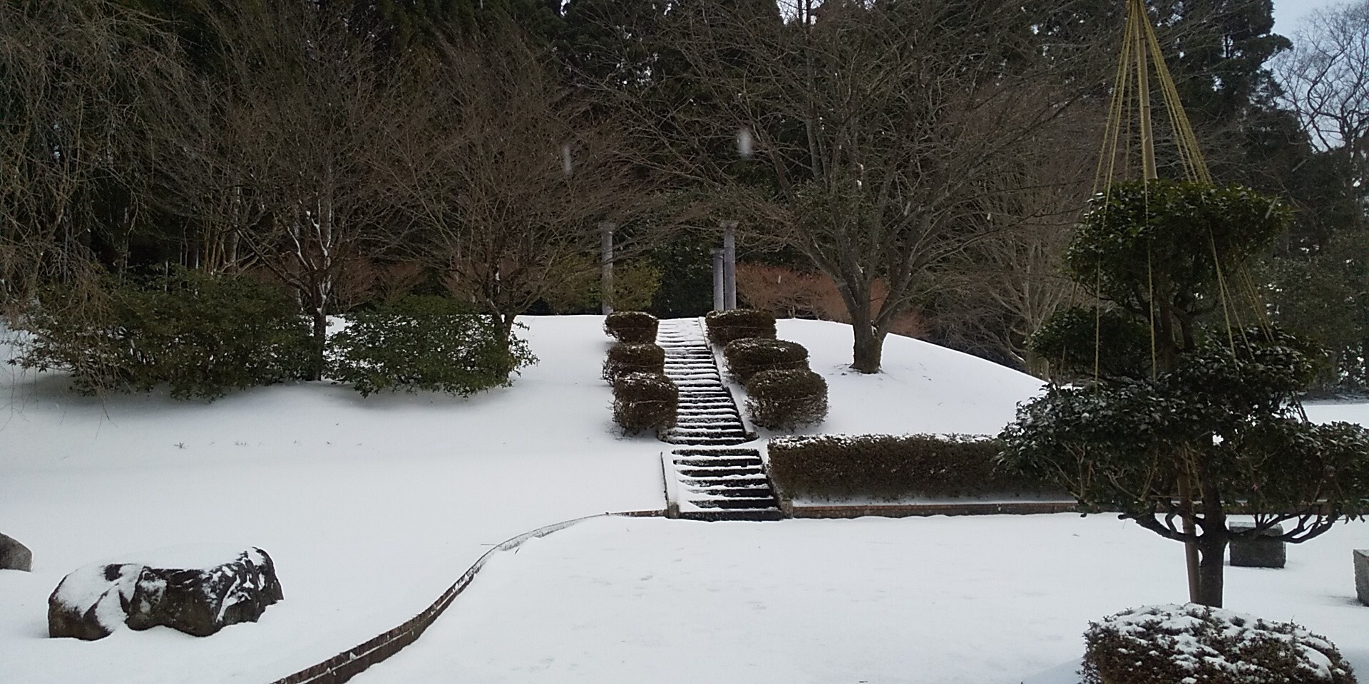 伝説の森公園モーゼパーク / tottinさんの宝達山の活動データ | YAMAP / ヤマップ
