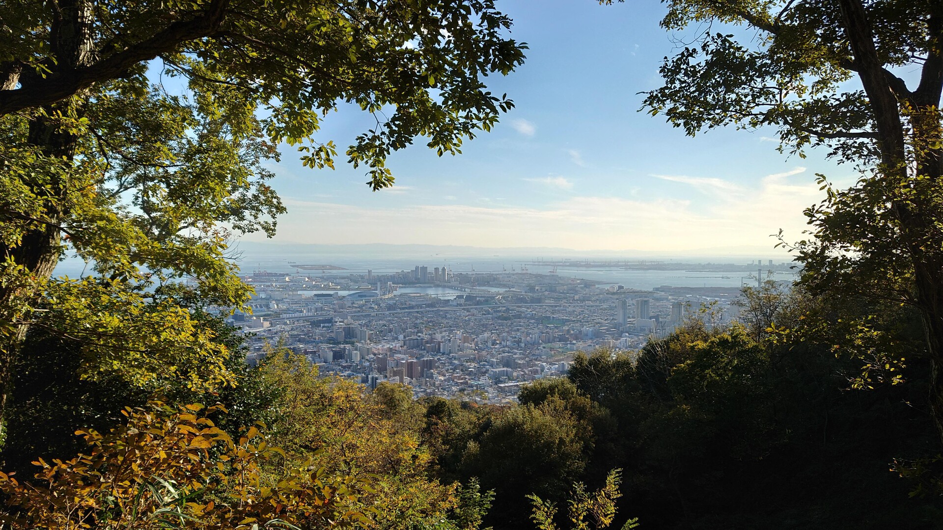 保久良神社から金鳥山へハイキング / hetaR（へたれ）さんの六甲山・長峰山・摩耶山の活動データ | YAMAP / ヤマップ