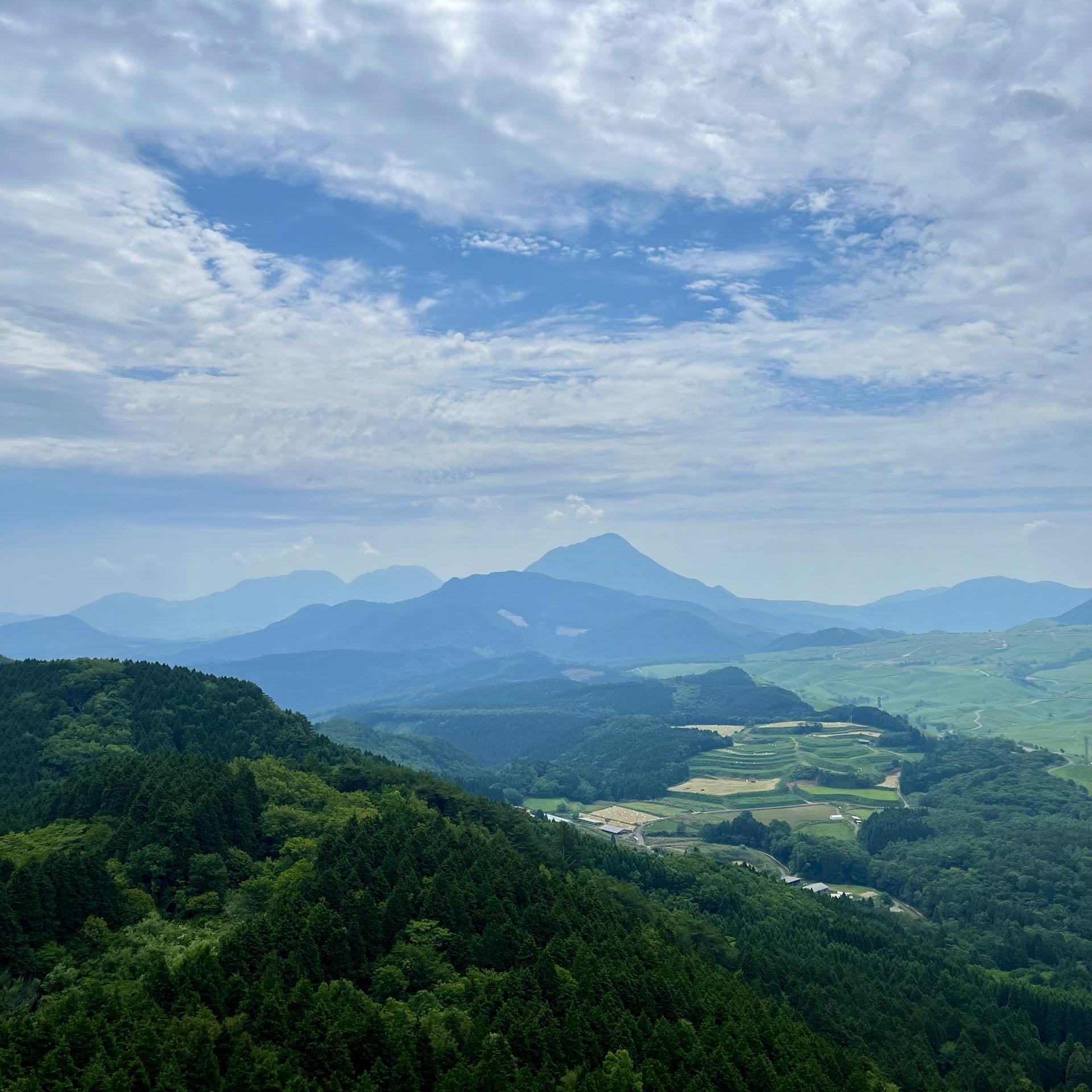 人見岳西峯[Team yokayama 10周年記念登山会] / アークさんの鈴ヶ塚山の活動データ | YAMAP / ヤマップ