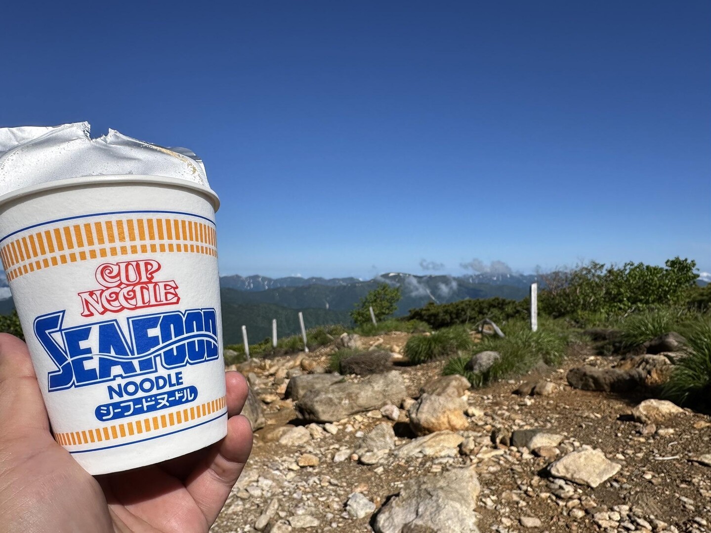 雨上がりの燧ヶ岳（柴安嵓） / syunziさんの尾瀬・燧ヶ岳の活動データ | YAMAP / ヤマップ