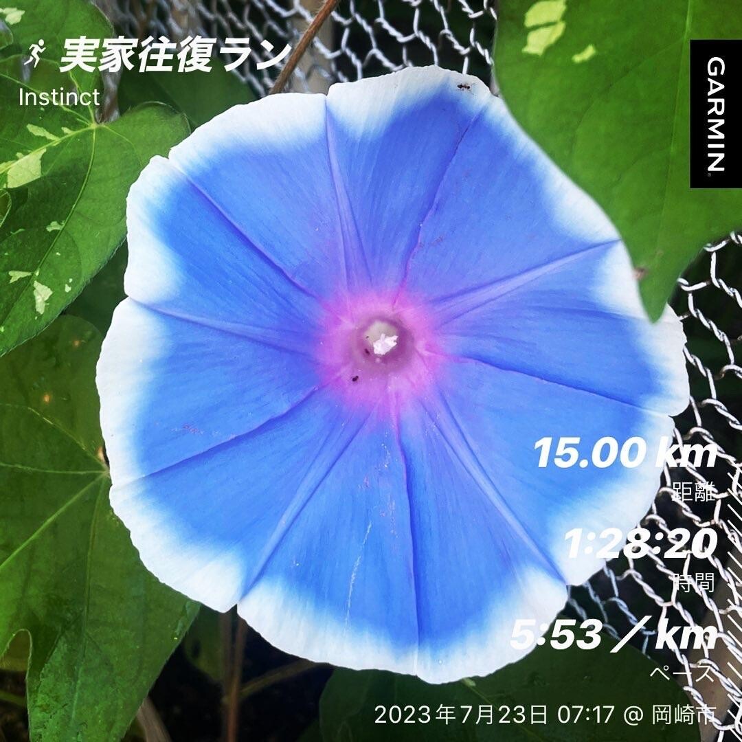 今日のトレーニングメニュー『60分jog... / Jackoumeriさんのモーメント | YAMAP / ヤマップ