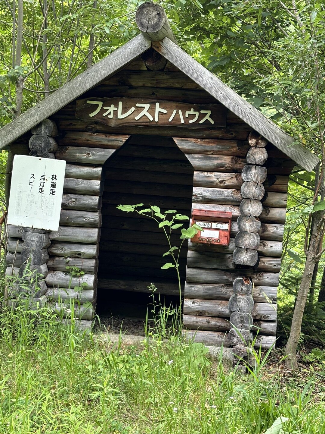 兜岩・兜峰・兜峰（南峰） / アキラさんの豊平山（焼山）の活動データ | YAMAP / ヤマップ