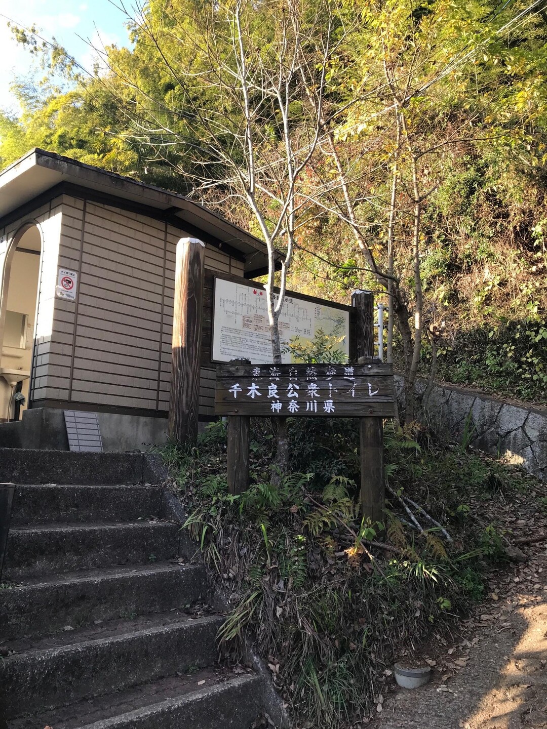 chi-biさんの投稿したフィールドメモ | YAMAP / ヤマップ