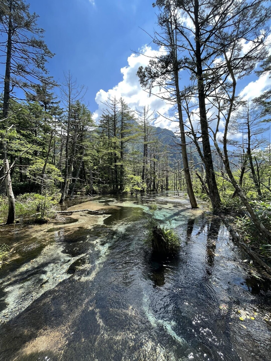 いつもは素通り上高地⛰🚶‍♀️ 今回... / Mikaさんのモーメント | YAMAP / ヤマップ