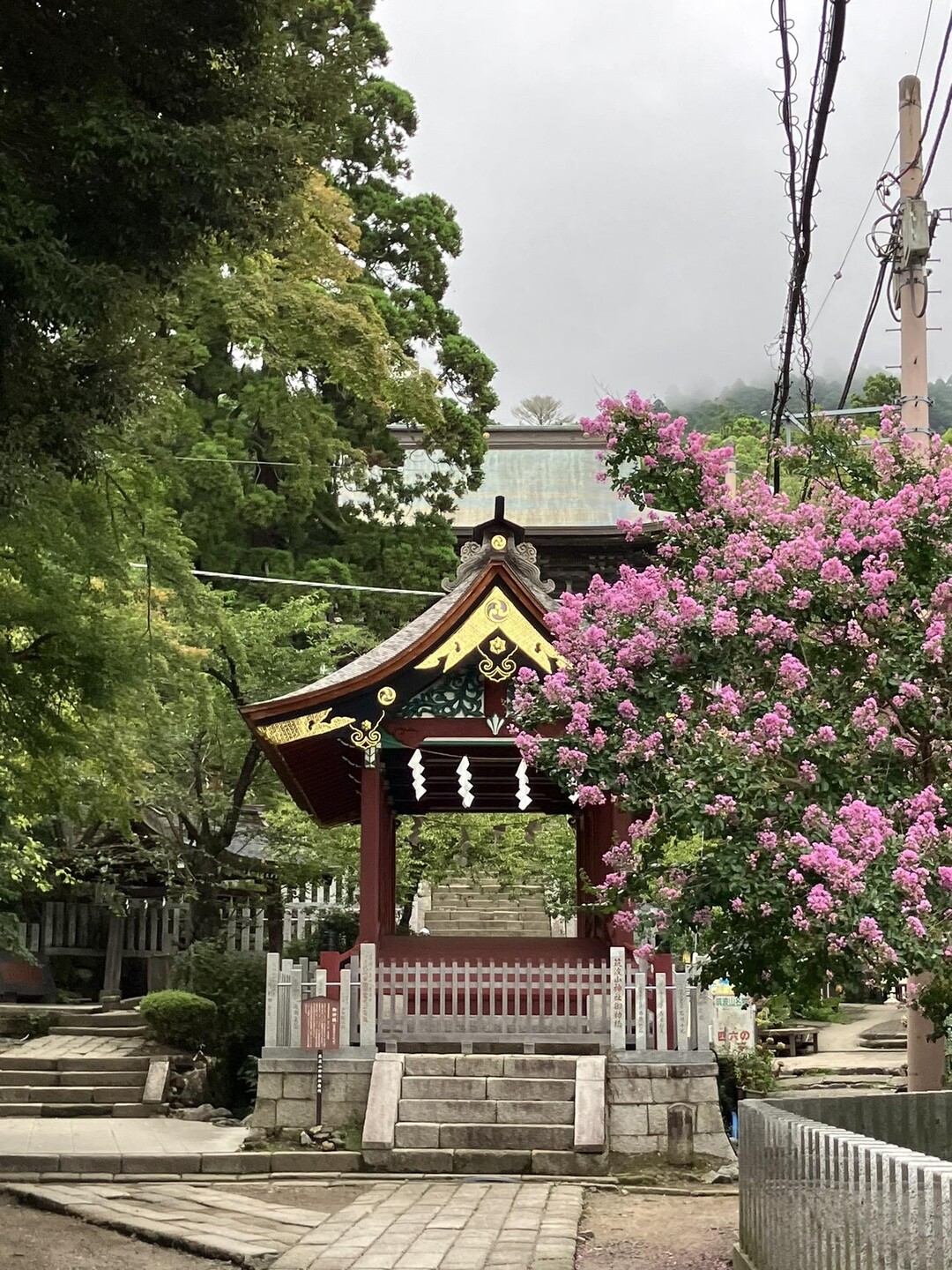 筑波山（男体山）・筑波山（女体山） / MOCCOさんの筑波山の活動データ | YAMAP / ヤマップ
