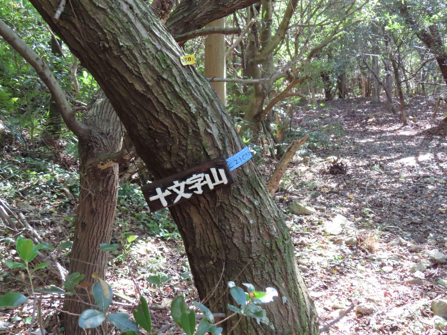 七兵衛山・打越山・十文字山 / Howardさんの六甲山・長峰山・摩耶山の活動データ | YAMAP / ヤマップ