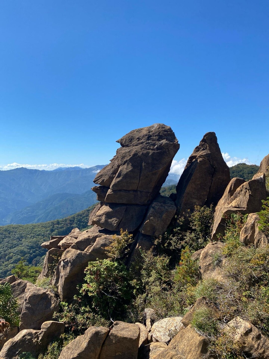 ロックに行こうぜ@八巻山・東赤石山 / ko_h5kwさんの東赤石山・西赤石山・物住頭の活動データ | YAMAP / ヤマップ