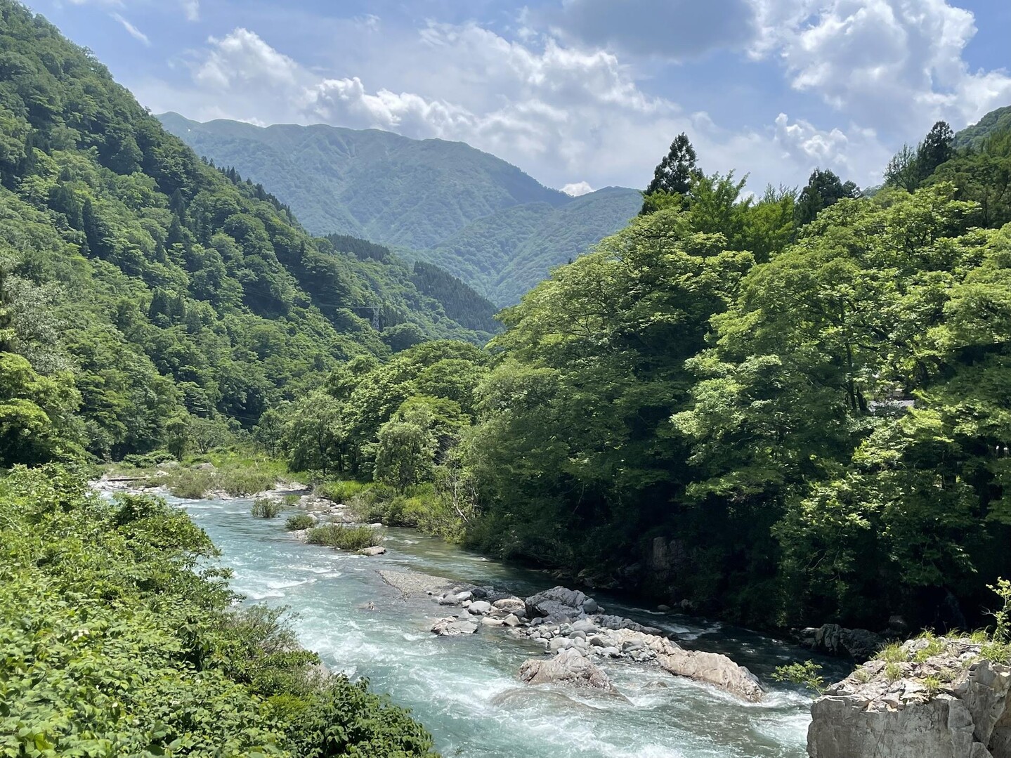 荒島岳(勝原) / mameさんの荒島岳の活動データ | YAMAP / ヤマップ
