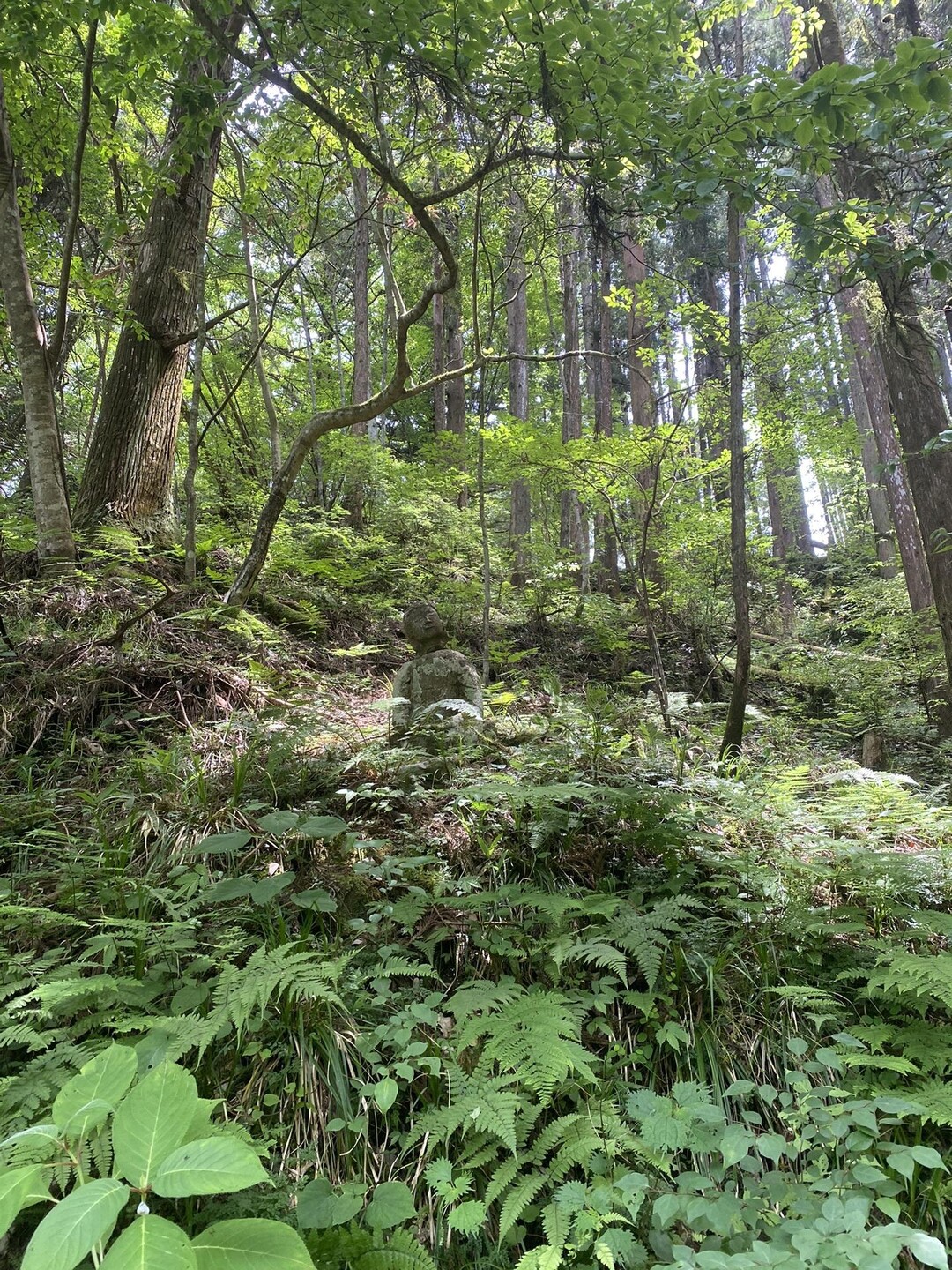 石裂山・月山 / yu-yakeさんの石裂山の活動データ | YAMAP / ヤマップ