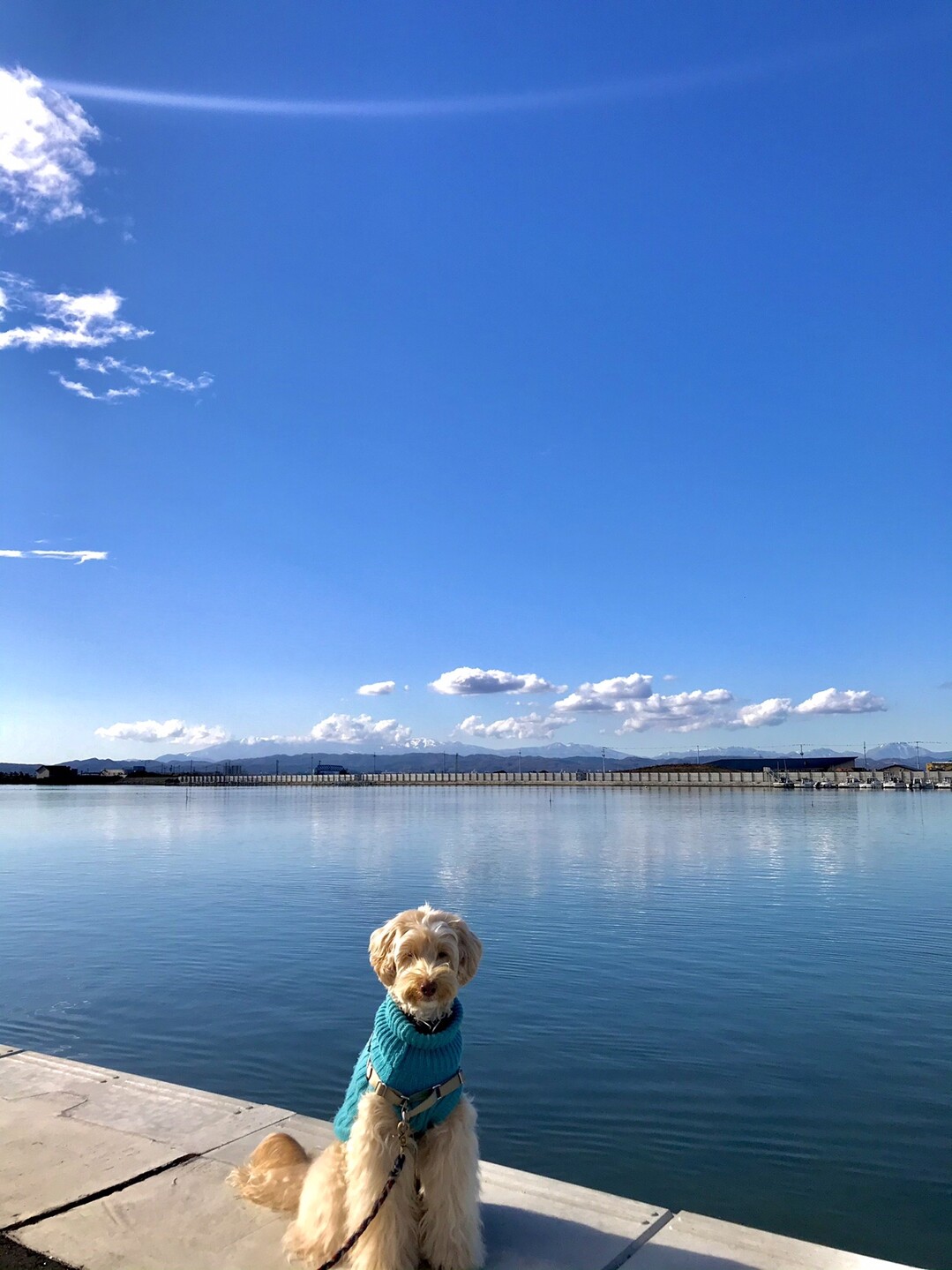 昨日、隙間時間でマックスのお散歩兼ねて閖... / AL_Maxさんのモーメント | YAMAP / ヤマップ