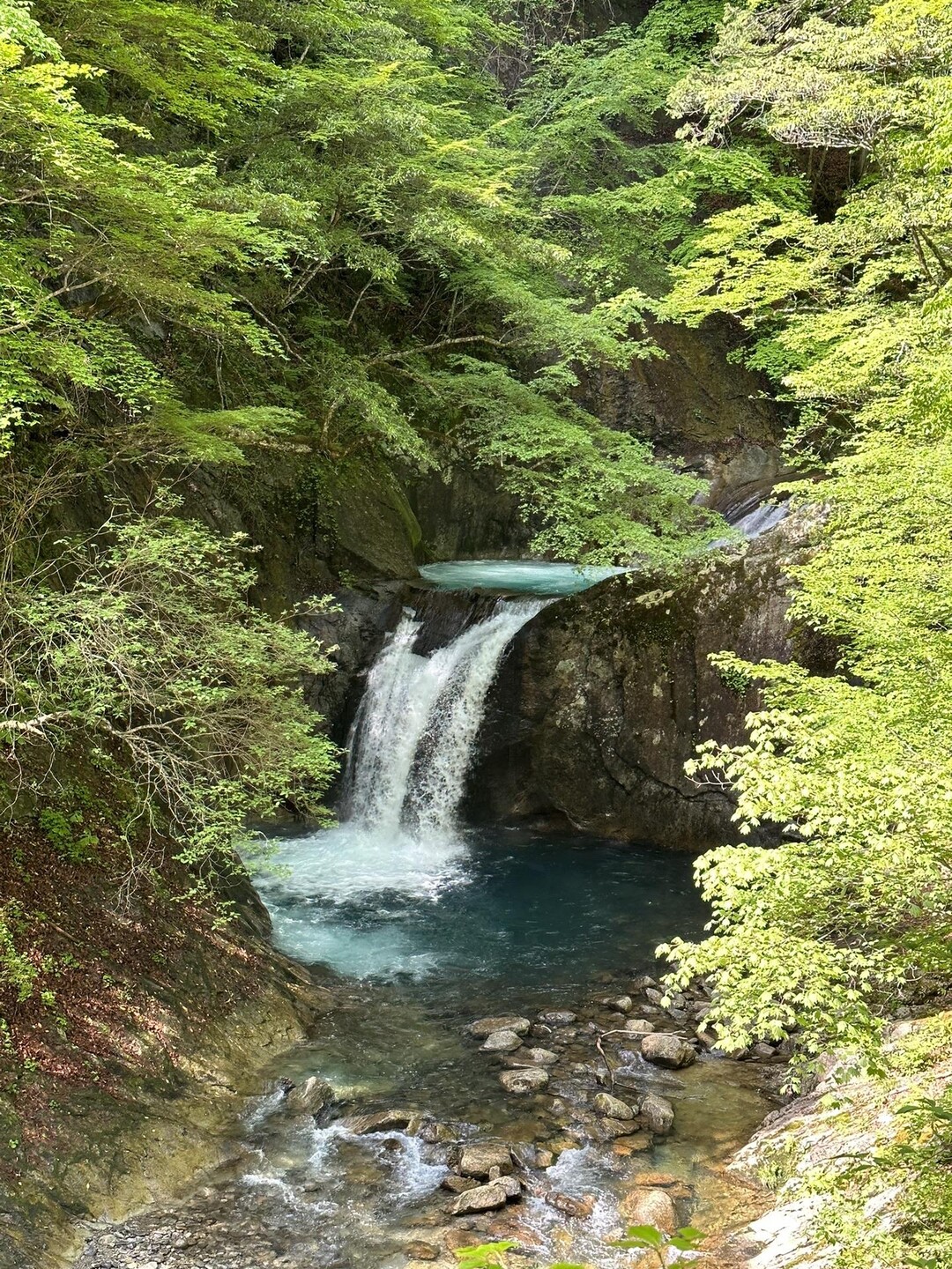 西沢渓谷 山歩 2023-05-21 / witさんの甲武信ヶ岳の活動データ | YAMAP / ヤマップ